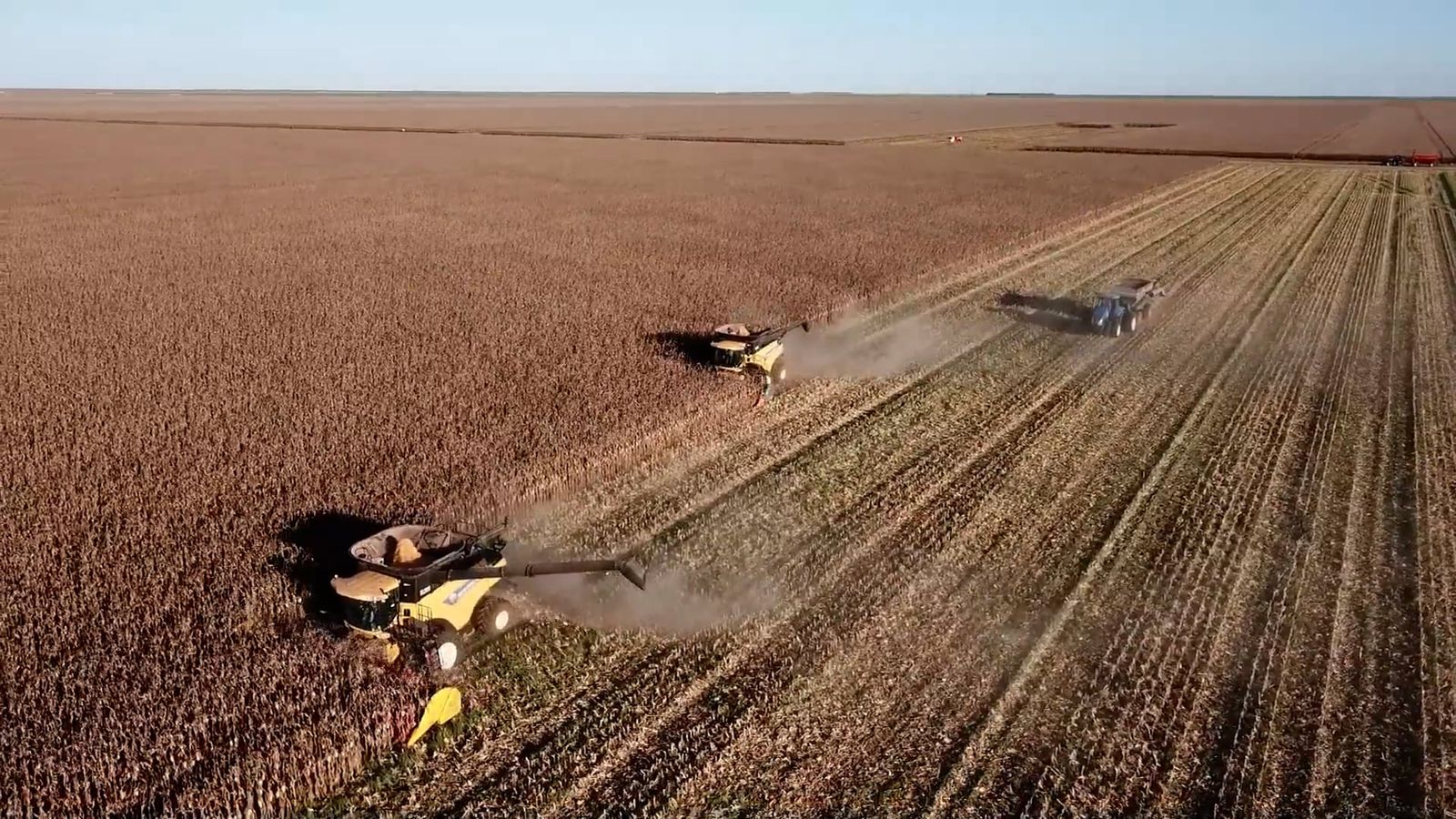 Corn Field Videos, Download Free 4k Stock Video Footage & Corn Field HD ...