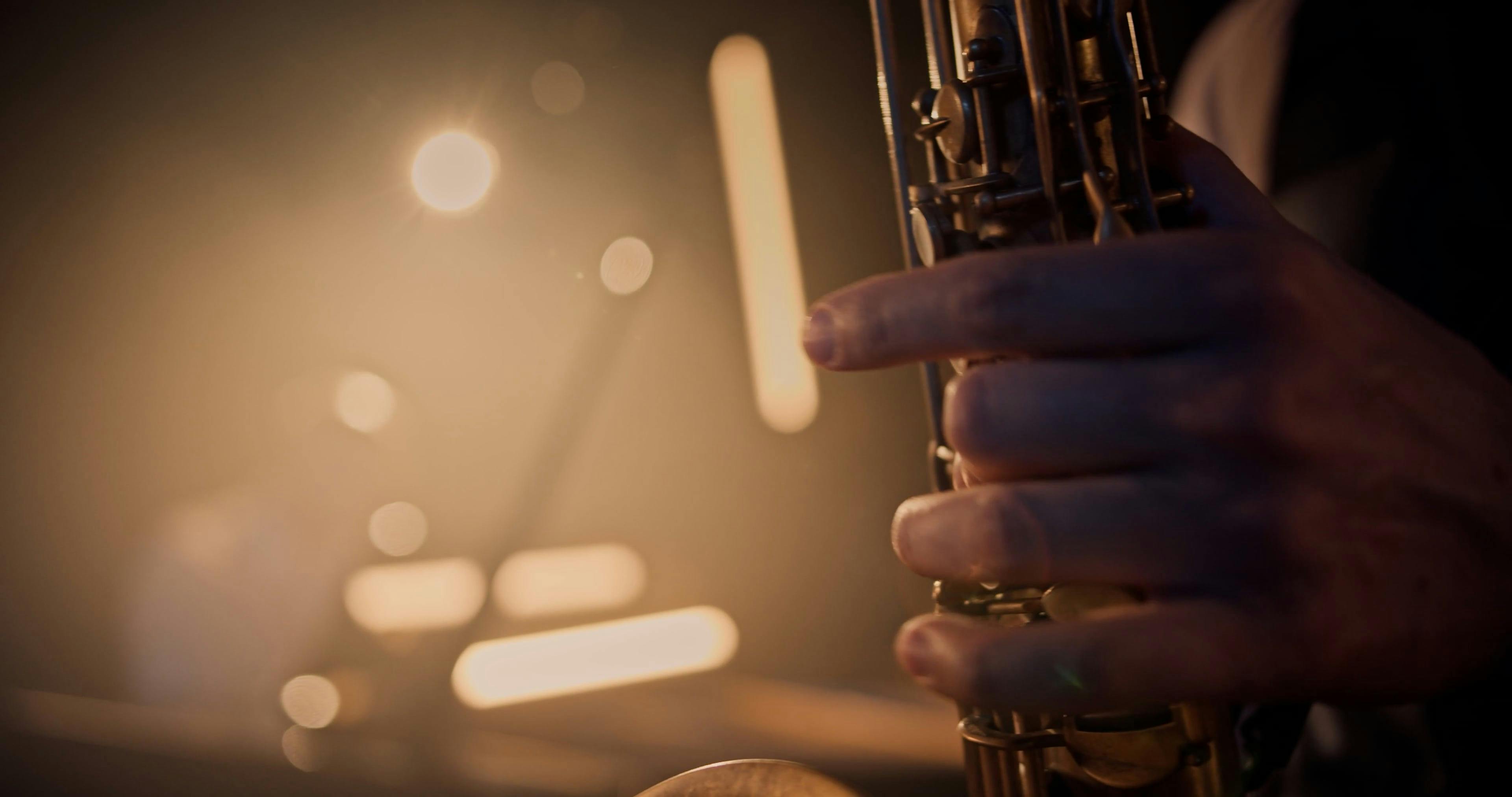 Close Up Shot Videos, Download The BEST Free 4k Stock Video Footage ...