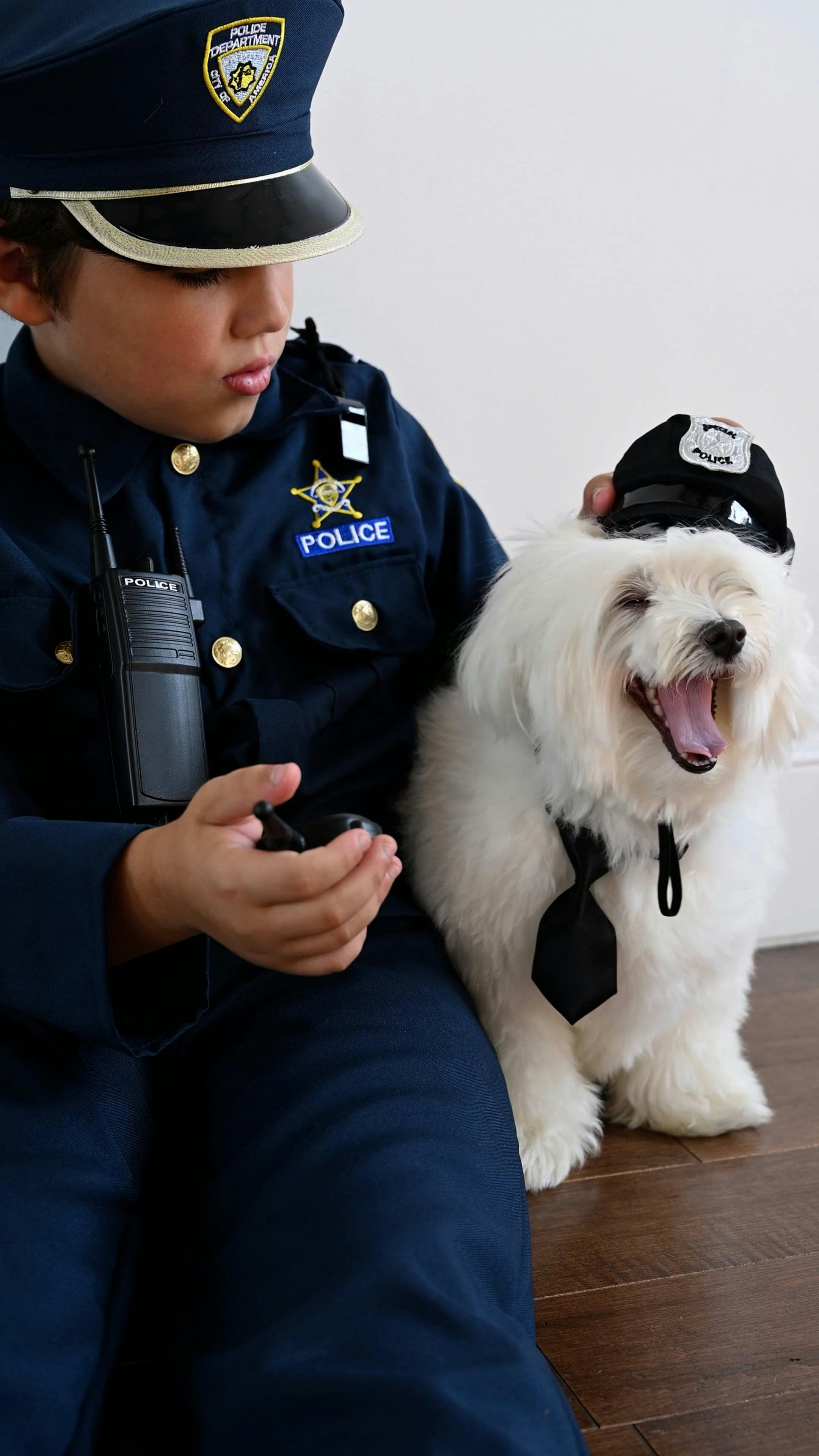 Funny Police Videos, Download The BEST Free 4k Stock Video Footage ...