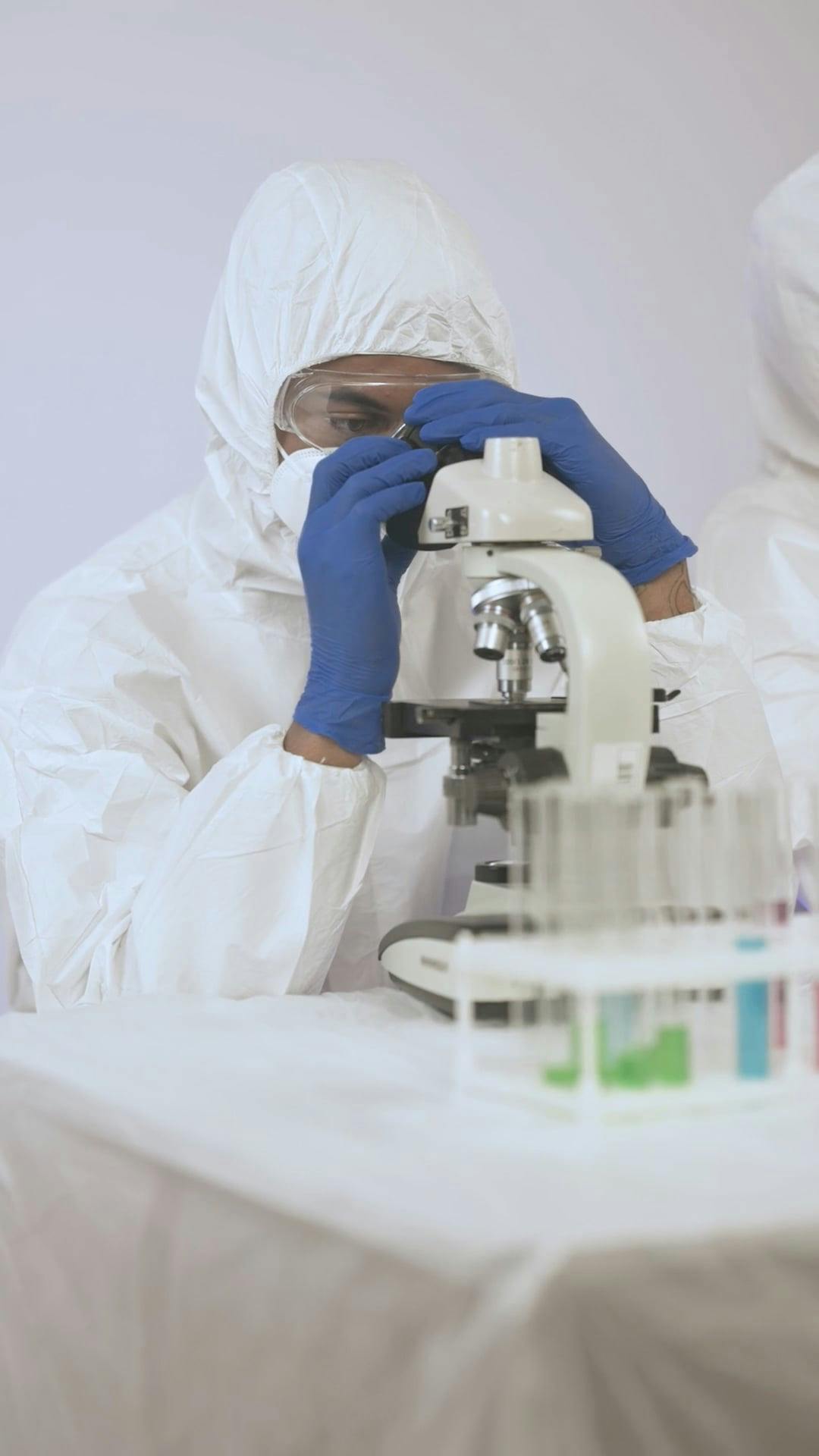 Person using Microscope · Free Stock Video