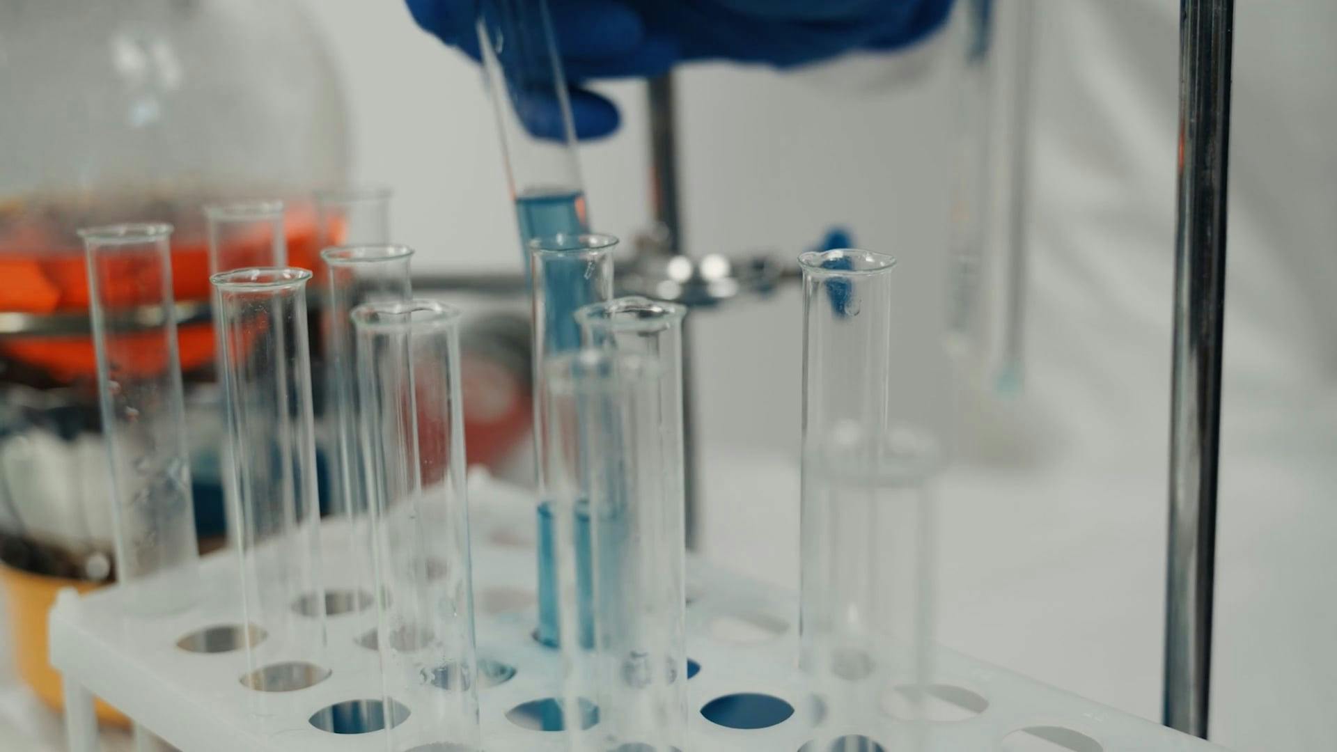 Close-up Video of a Person holding Test Tube Free Stock Video Footage ...