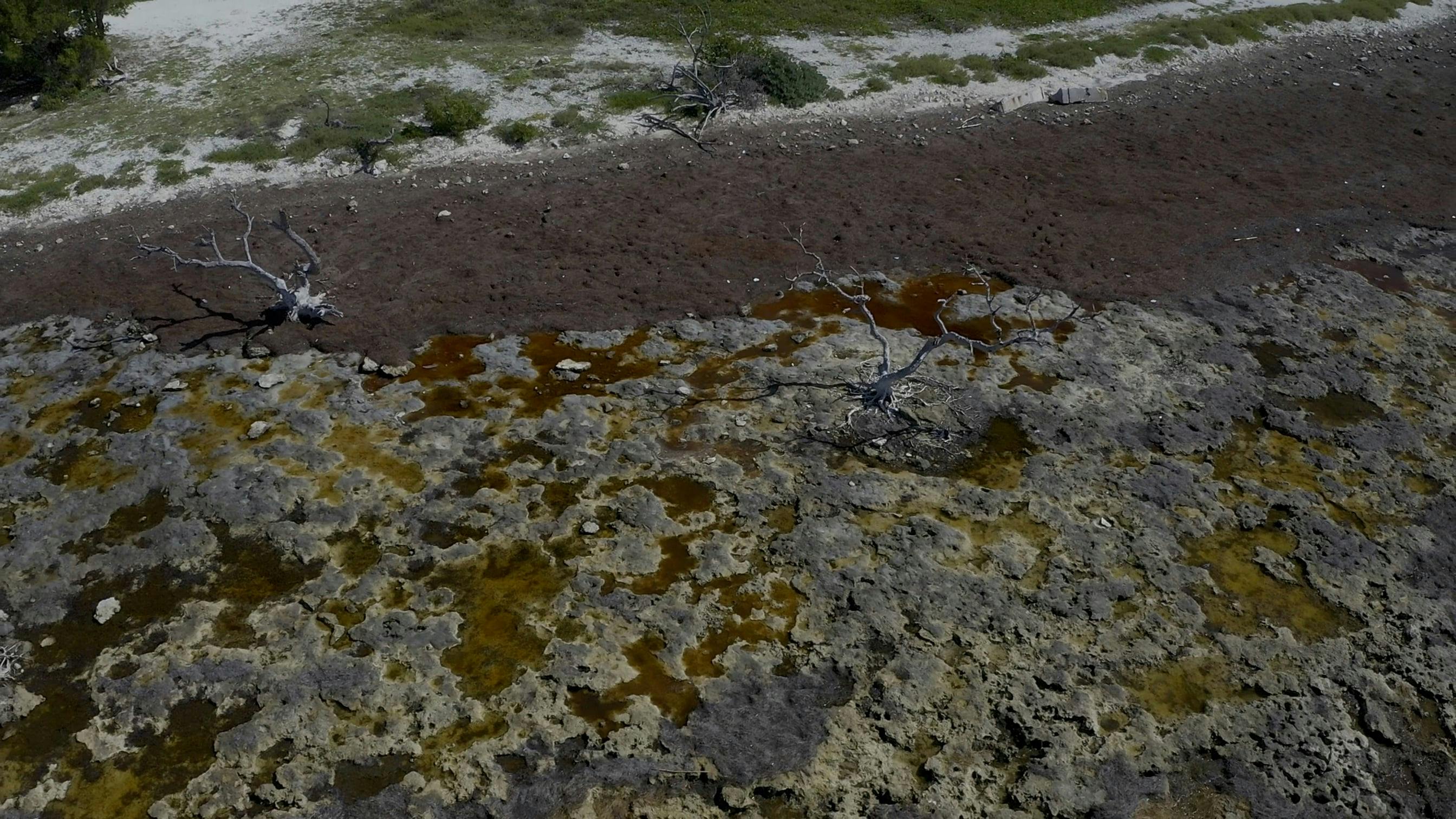 Land Loss Videos, Download The BEST Free 4k Stock Video Footage & Land ...