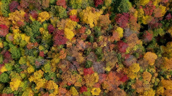 Autumn Videos, Download The BEST Free 4k Stock Video Footage & Autumn ...