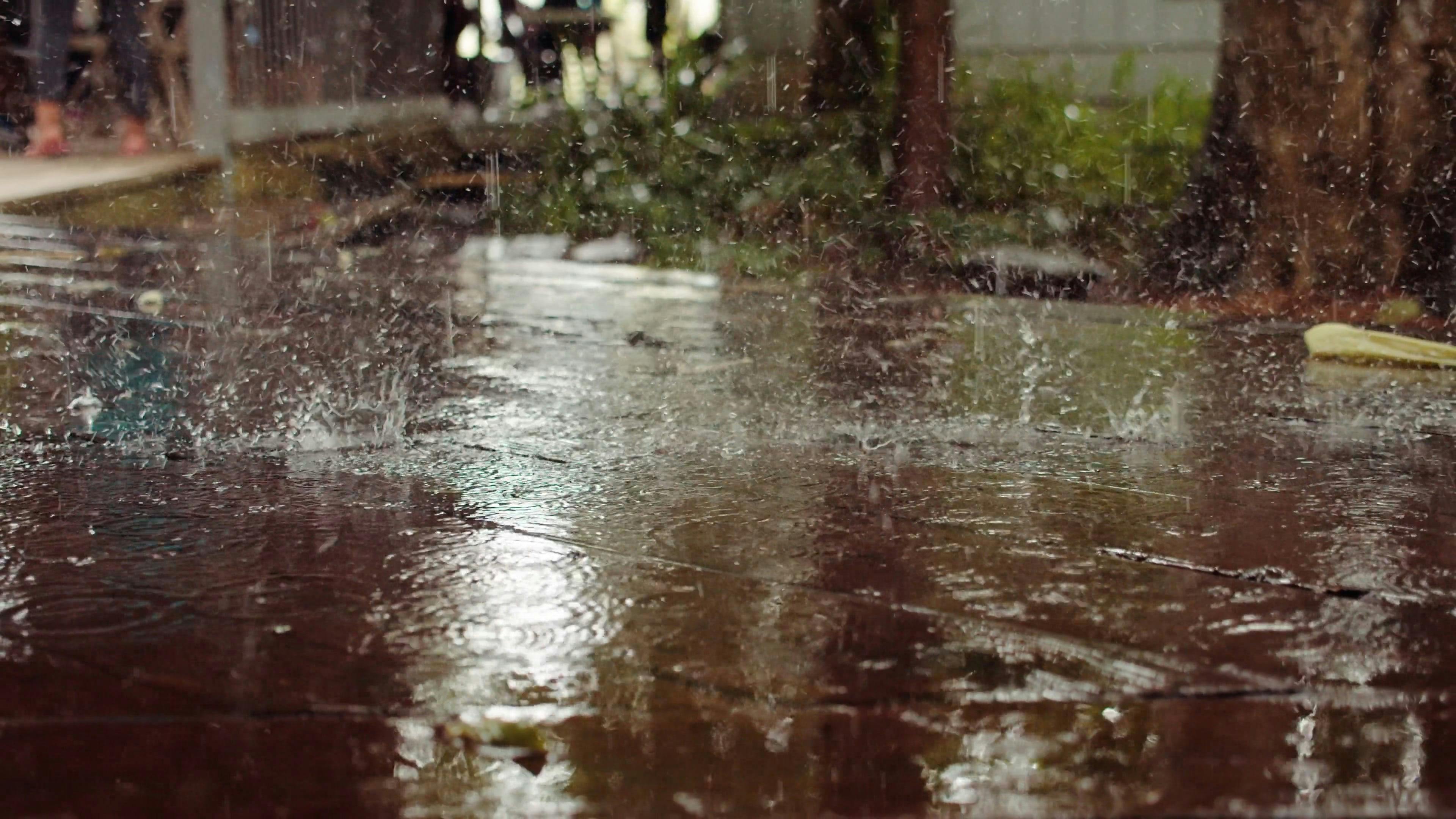 Raindrops Falling on the Pavement Free Stock Video Footage, Royalty ...