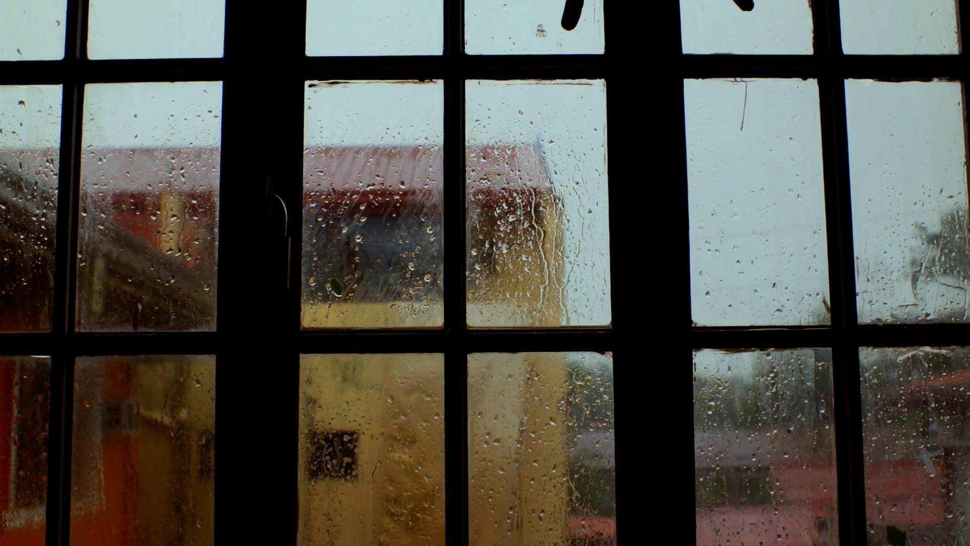 A view of a window with rain falling through it Free Stock Video ...