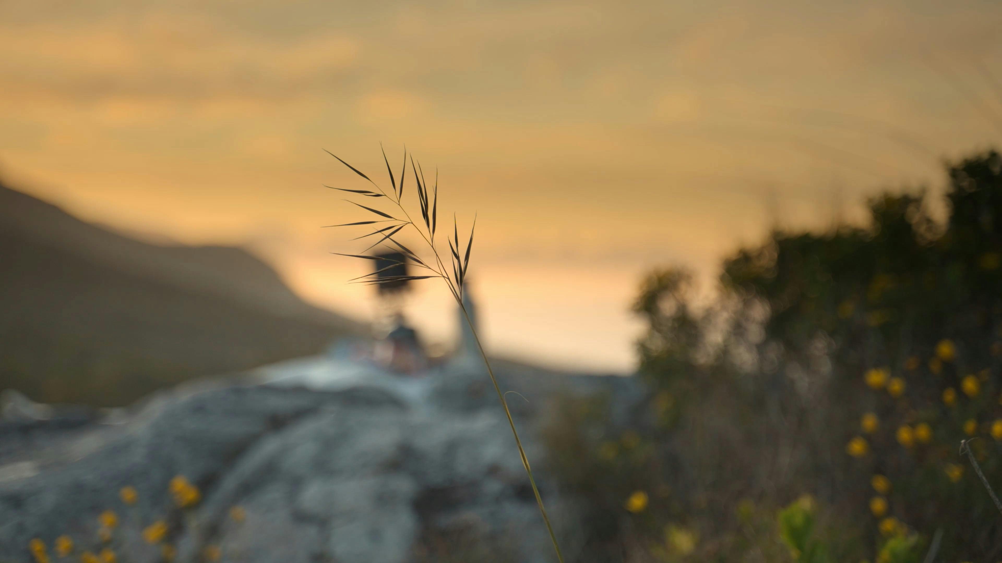 Darken Outdoor Videos, Download The BEST Free 4k Stock Video Footage ...