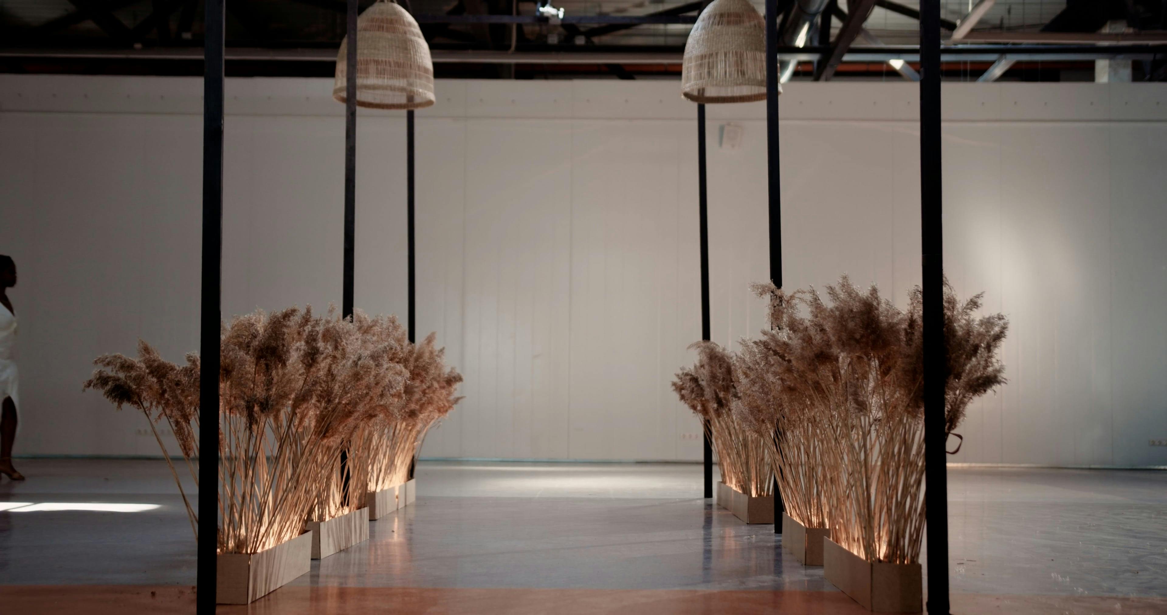 Visual Flair Videos, Download The BEST Free 4k Stock Video Footage ...