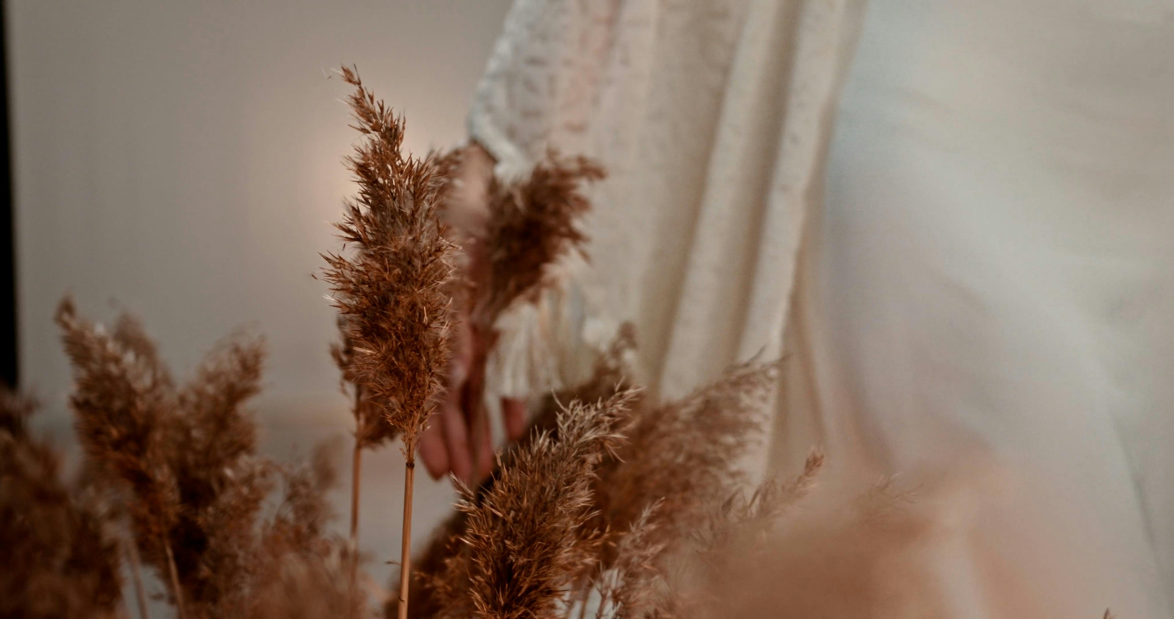 Visual Poem Videos, Download The BEST Free 4k Stock Video Footage ...