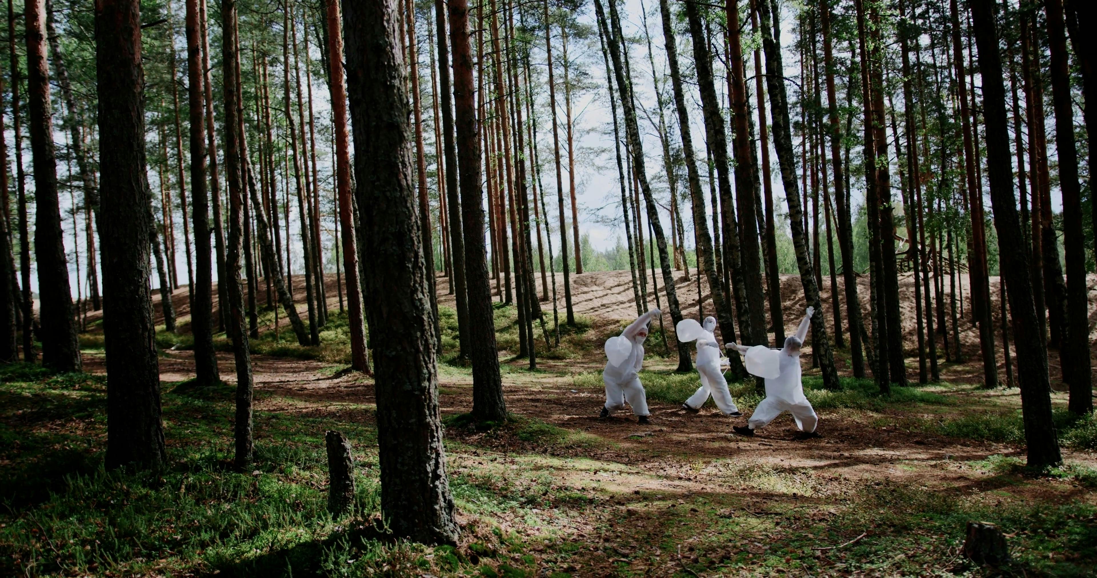 Planting Trees Videos, Download The BEST Free 4k Stock Video Footage ...