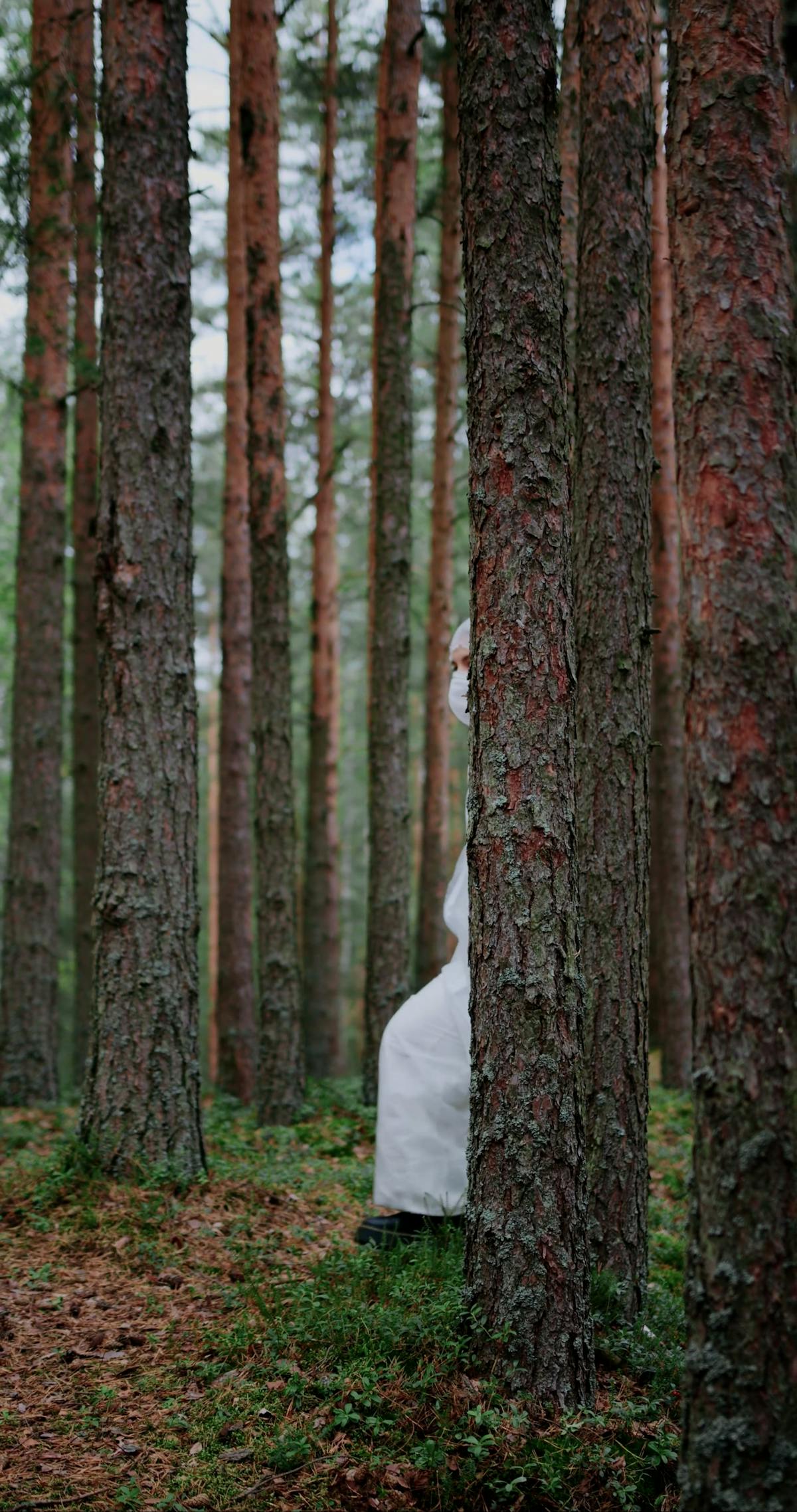 Forest Dance Videos, Download The BEST Free 4k Stock Video Footage ...