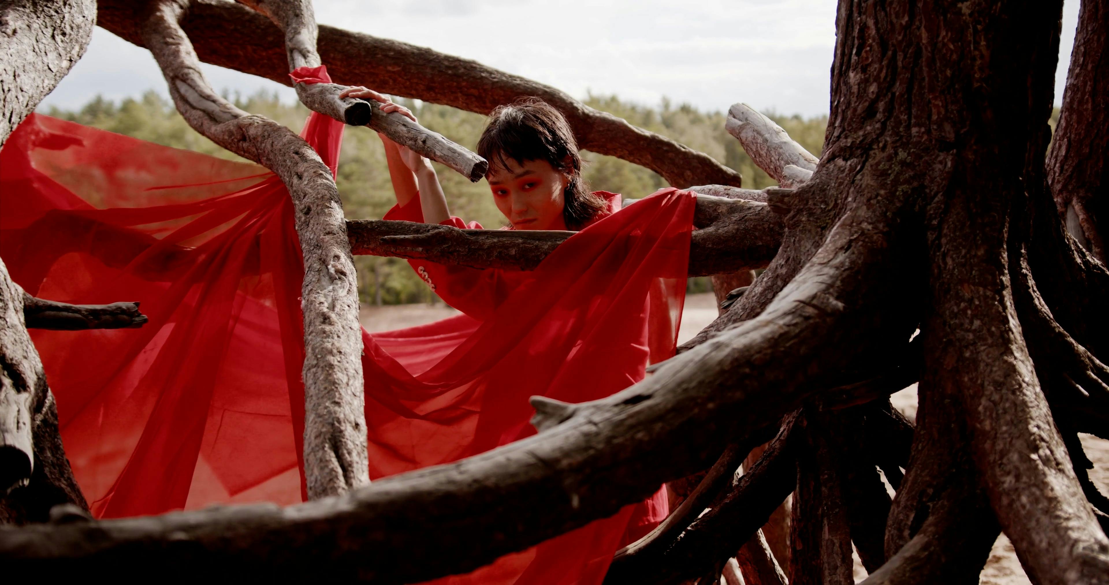 Windy Scene Videos, Download The BEST Free 4k Stock Video Footage ...