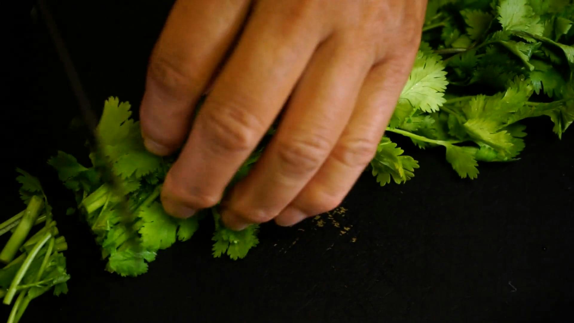 A person cutting up some cilantro on a black surface Free Stock Video ...