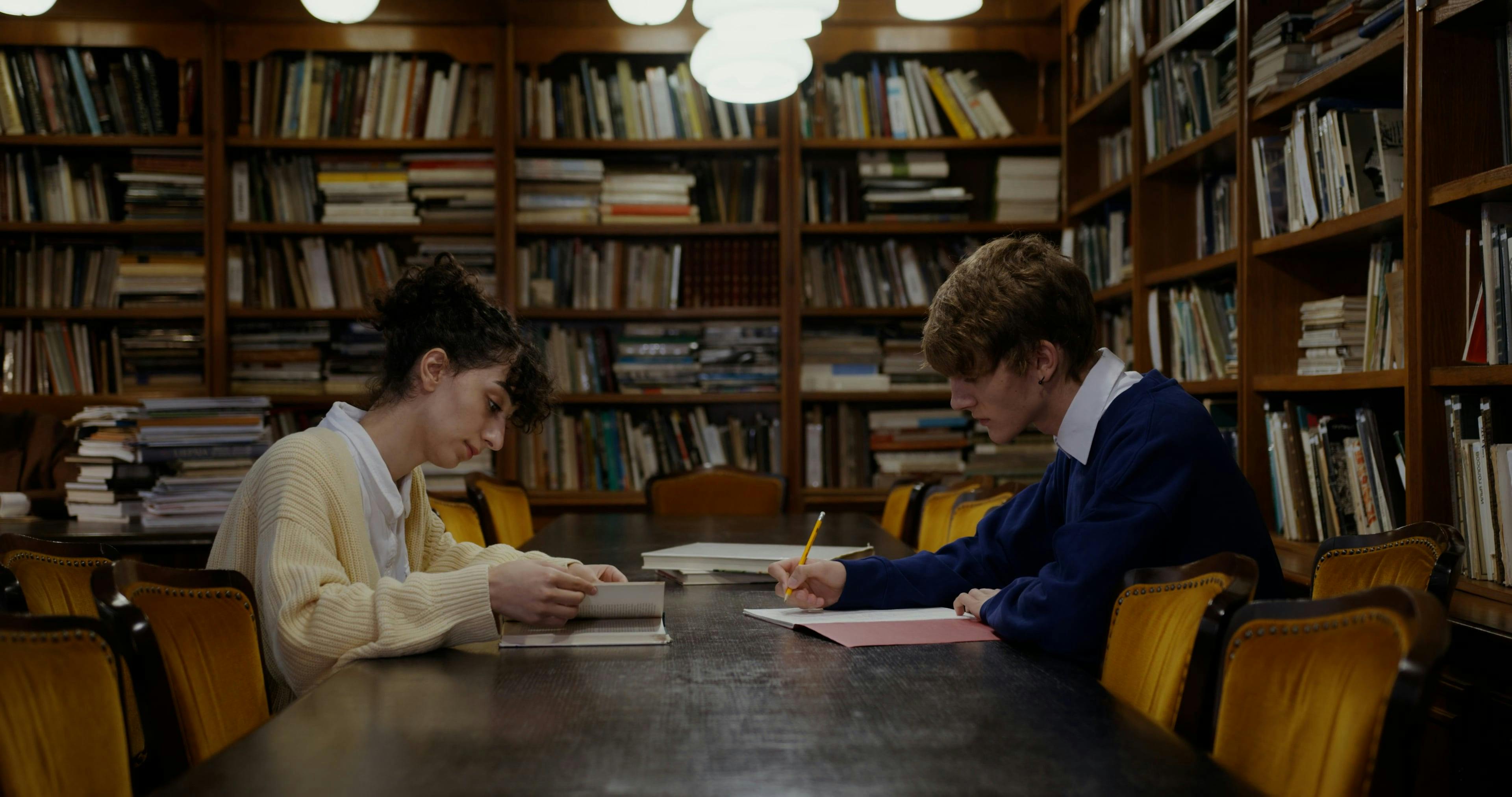 Study Duo Videos, Download The BEST Free 4k Stock Video Footage & Study ...