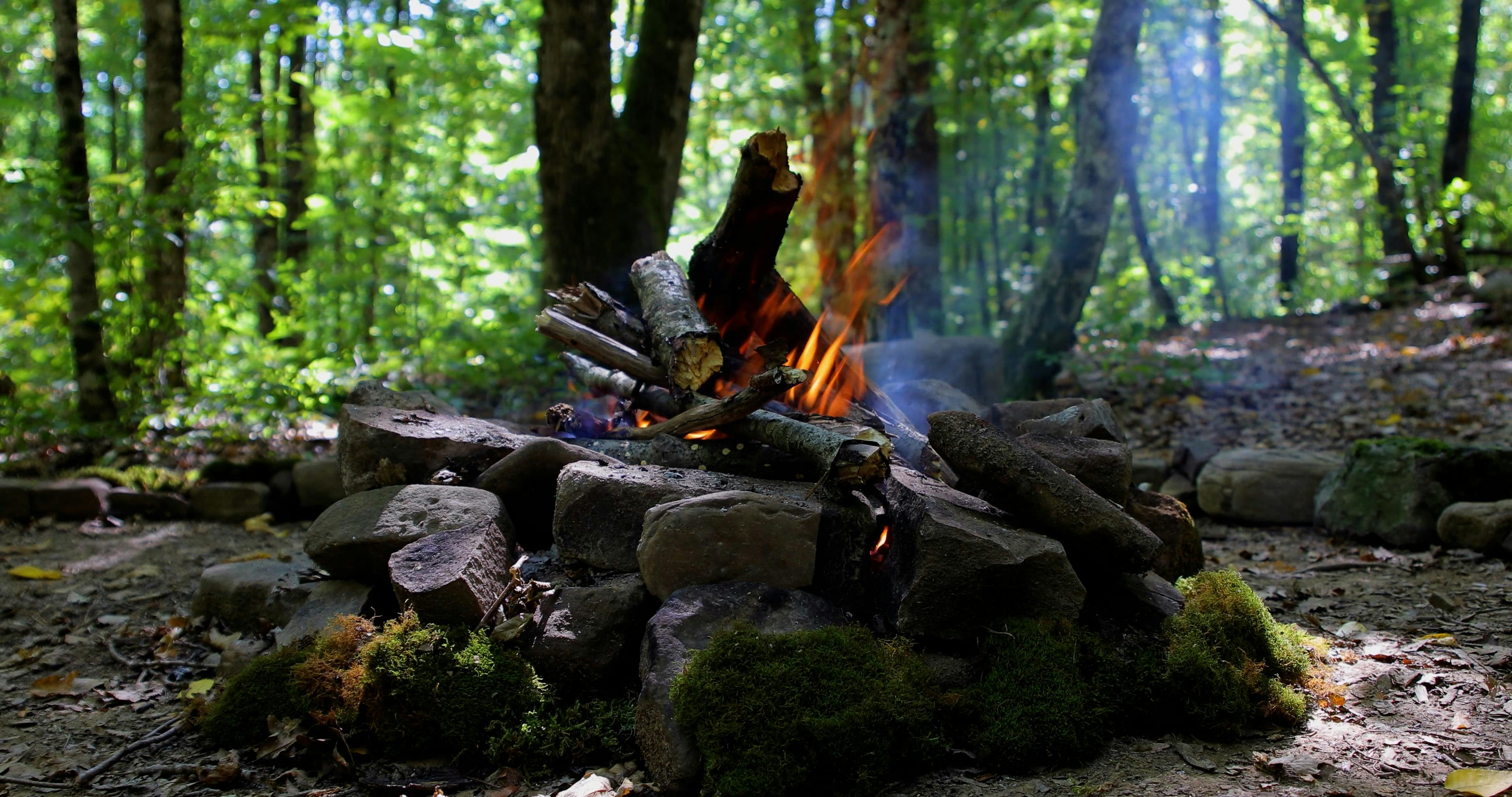 A campfire in the woods with rocks and logs Free Stock Video Footage ...