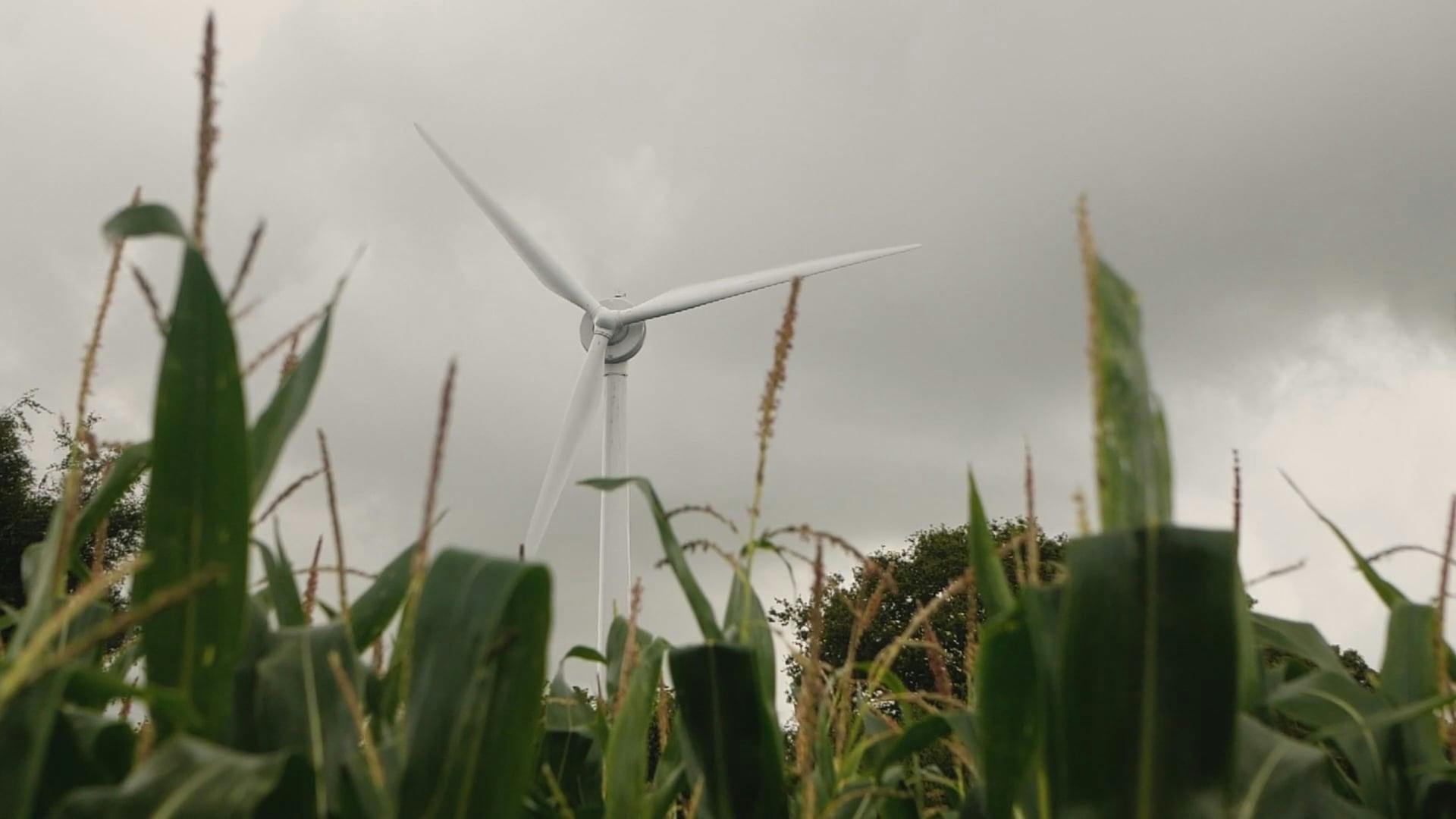 Wind Turbine On Field Free Stock Video Footage, Royalty-Free 4K & HD ...