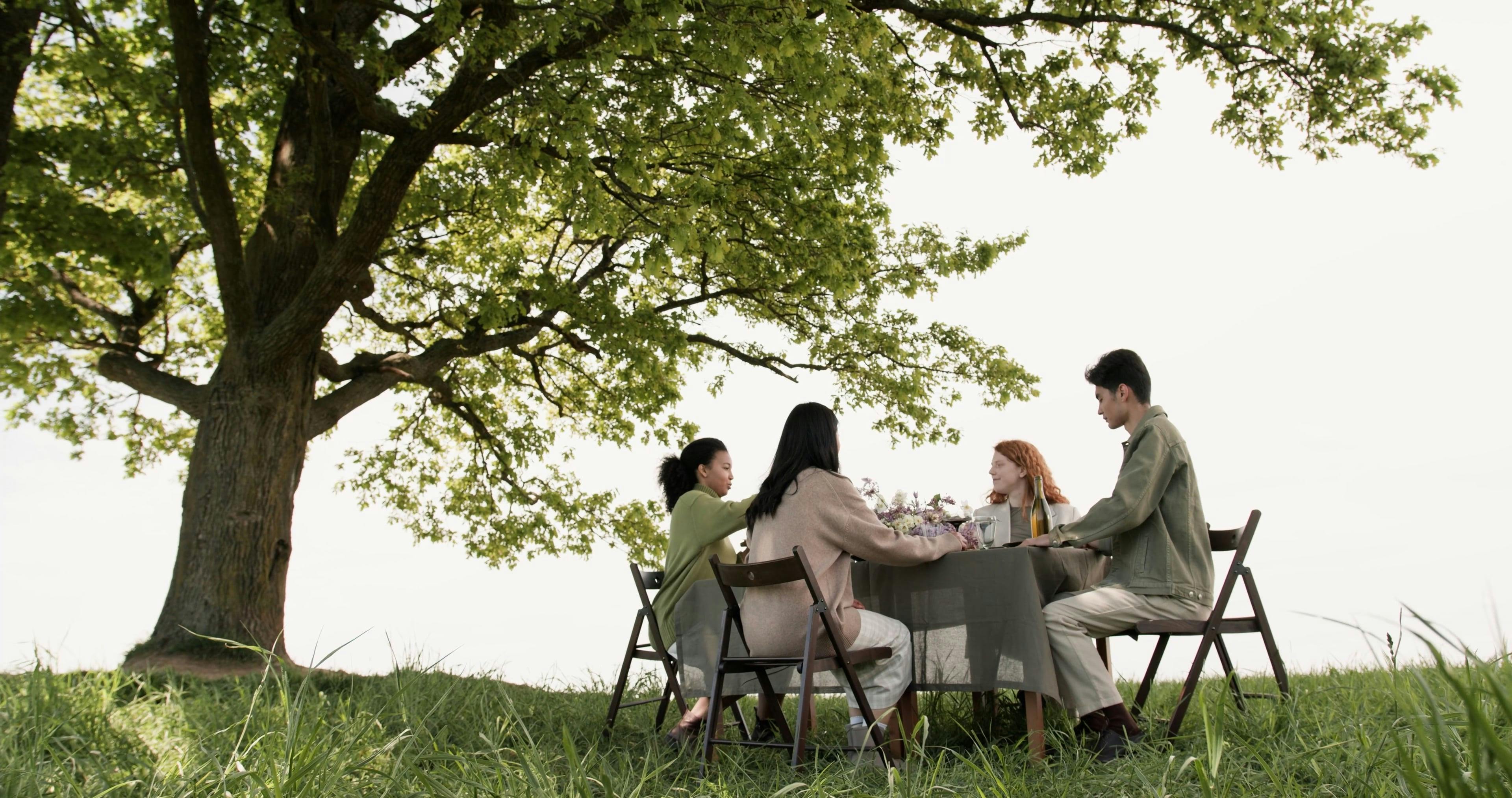 People Eating Together Under a Tree Free Stock Video Footage, Royalty ...