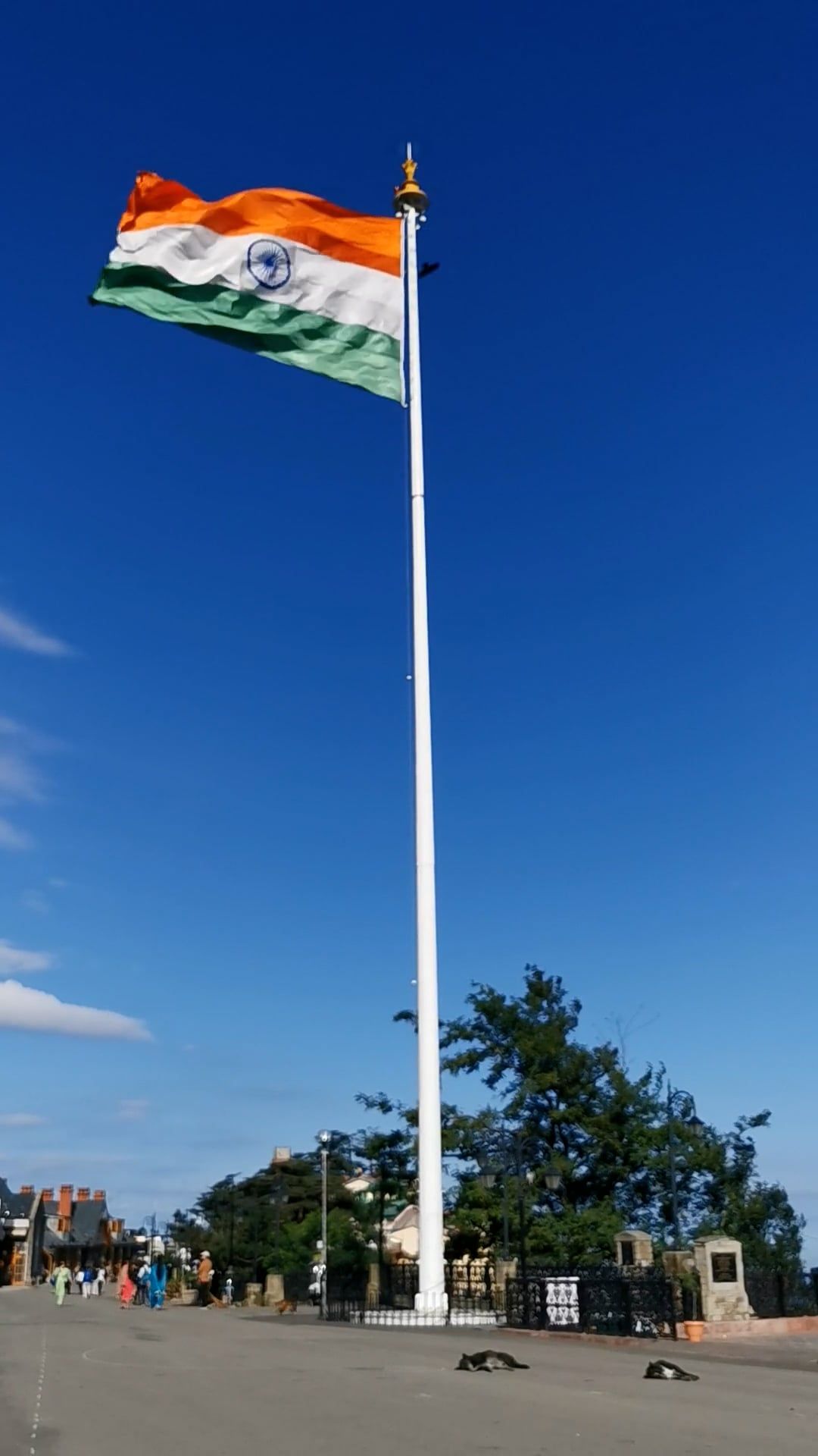 Indian Flag Flying Video 275 Waving India Flag Stock Videos, Footage,