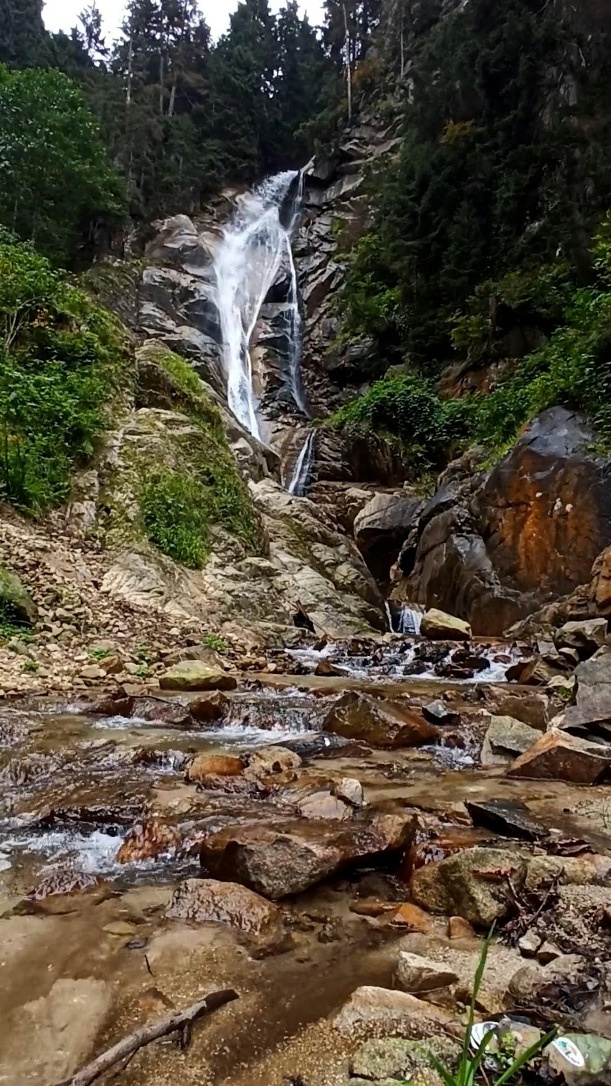 Public Domain Videos, Download The BEST Free 4k Stock Video Footage ...