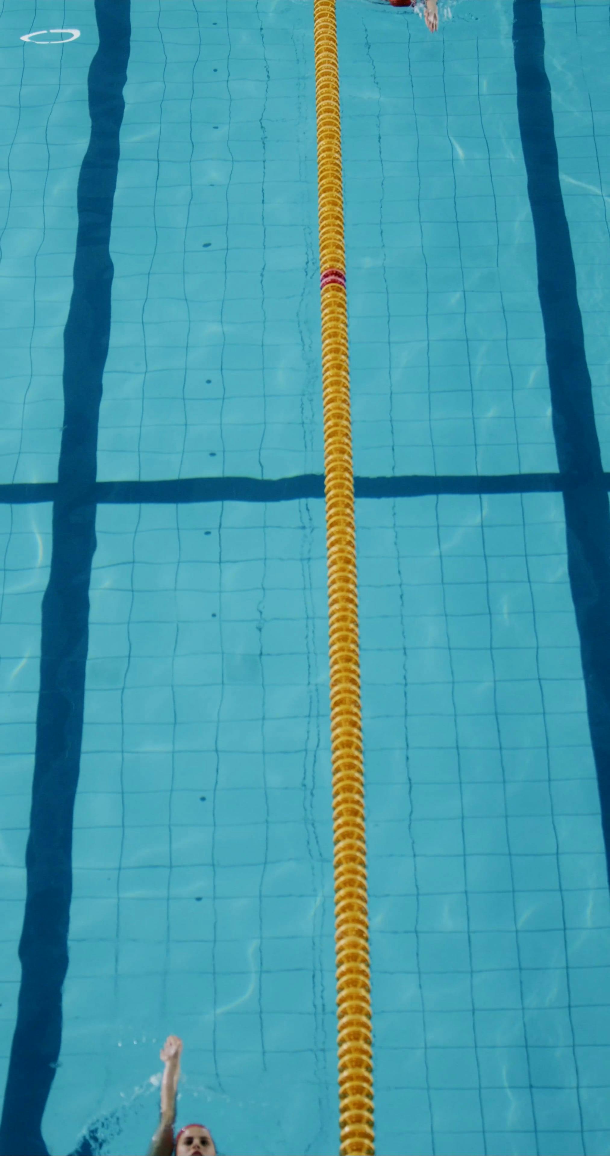 Top View of Swimmers Having Their Training Free Stock Video Footage ...