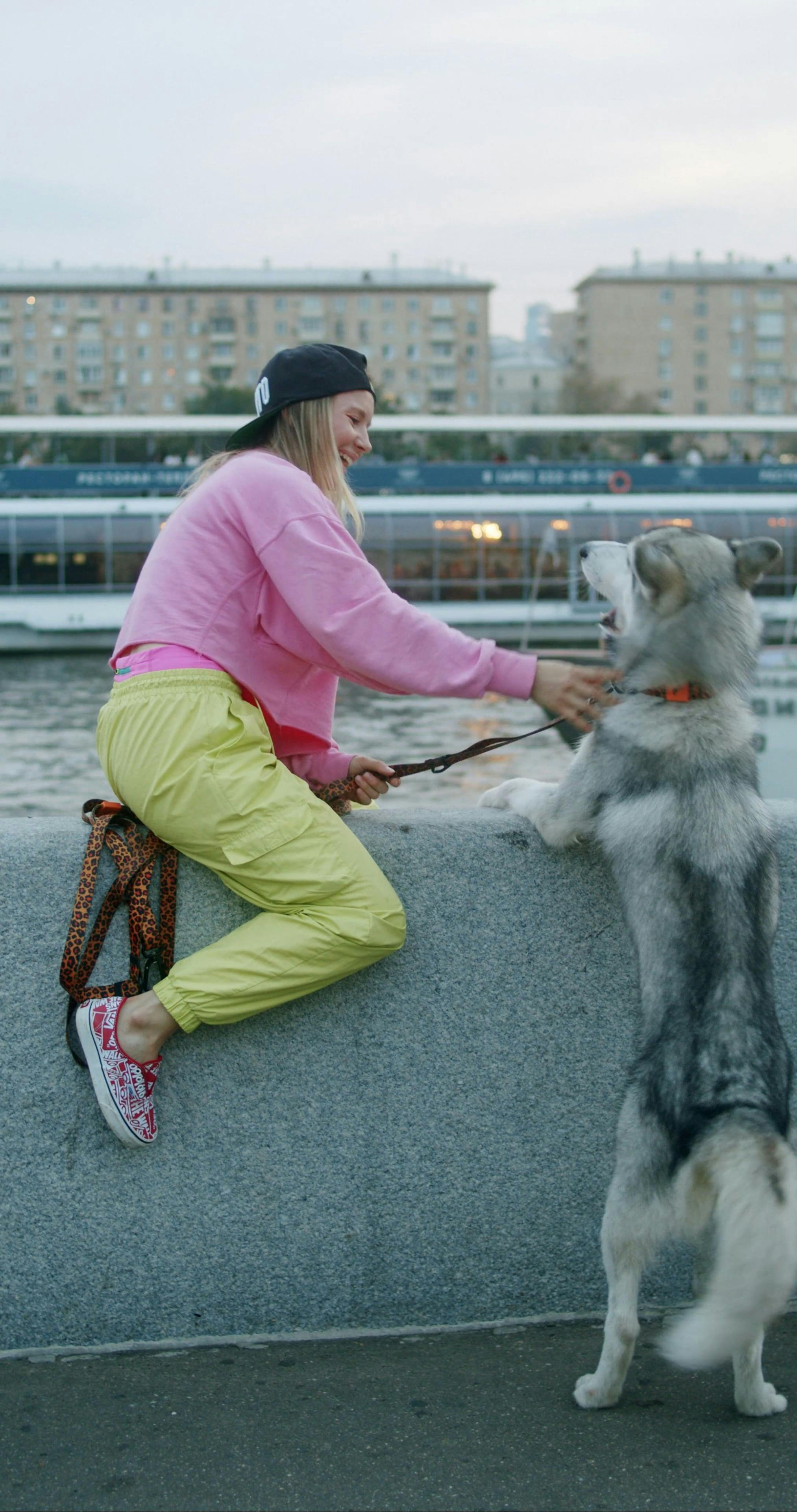 Hugging Husky Videos, Download The BEST Free 4k Stock Video Footage ...