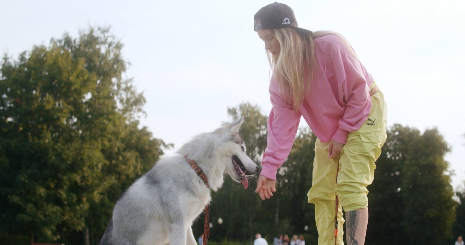 Bf Dog Videos, Download The BEST Free 4k Stock Video Footage & Bf Dog ...