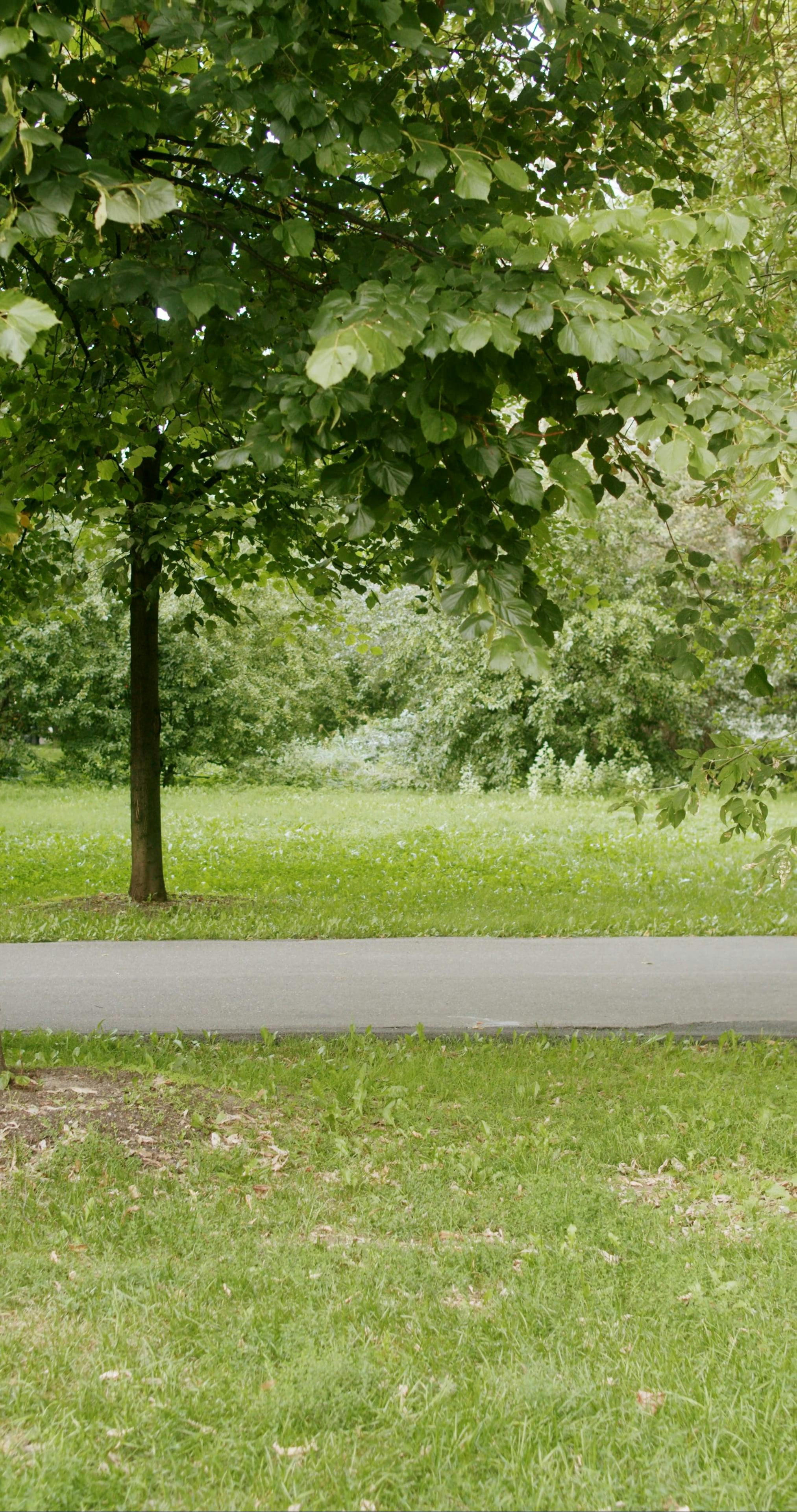 Walk In The Park Videos, Download The BEST Free 4k Stock Video Footage ...