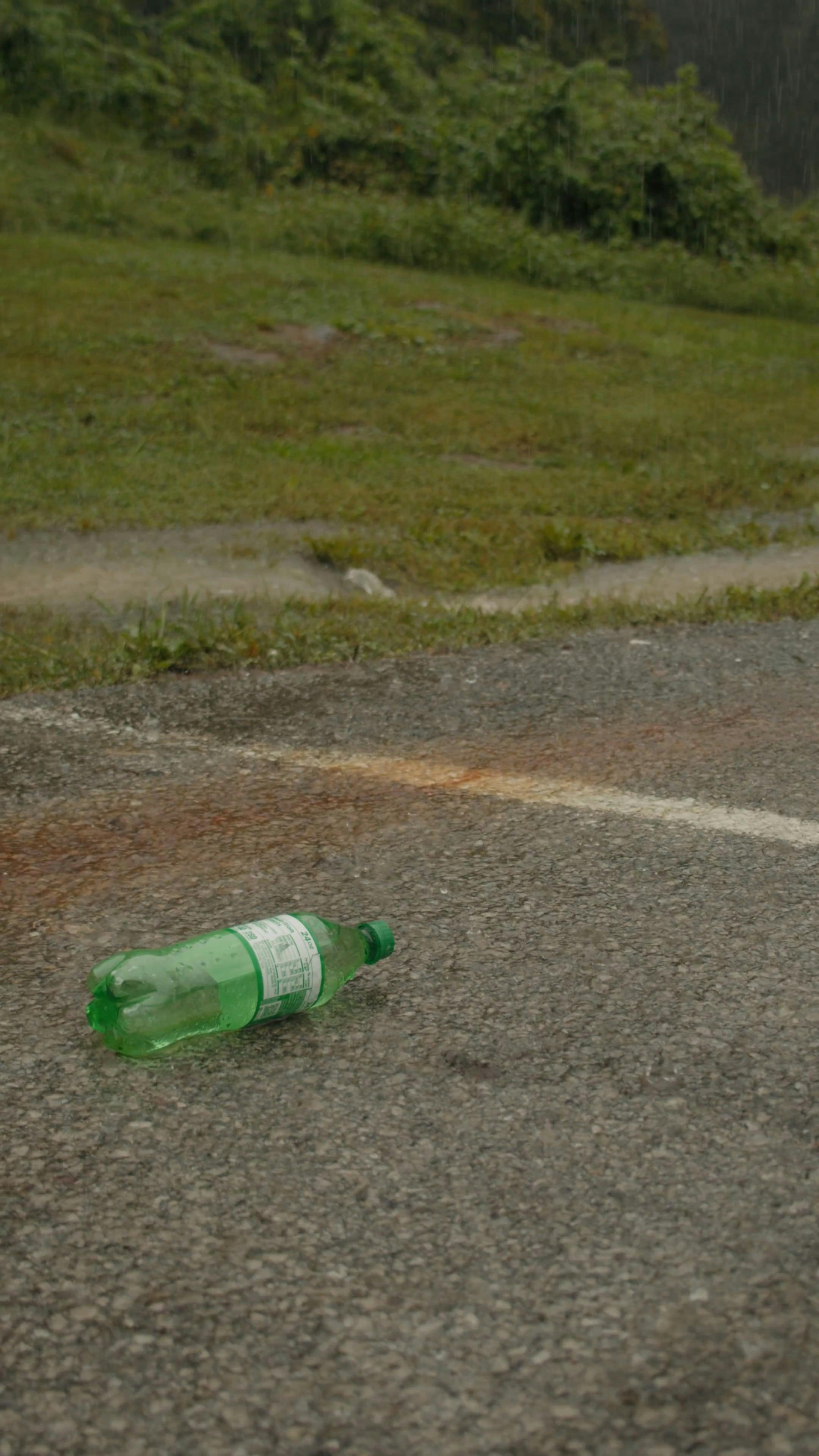 Landscape with trees during rain Free Stock Video Footage, Royalty-Free ...