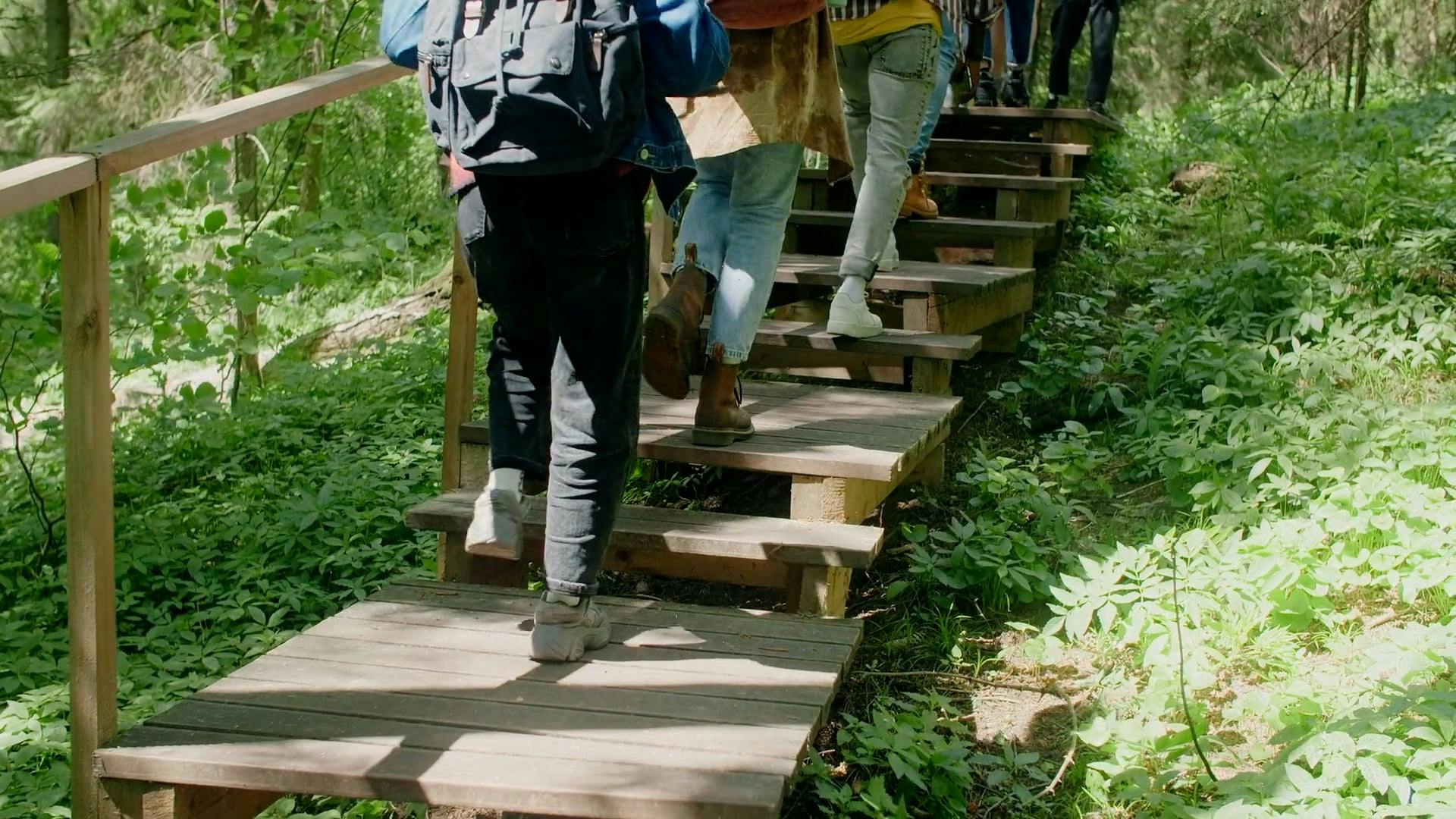 Group of hikers walking up steps in forest Free Stock Video Footage ...