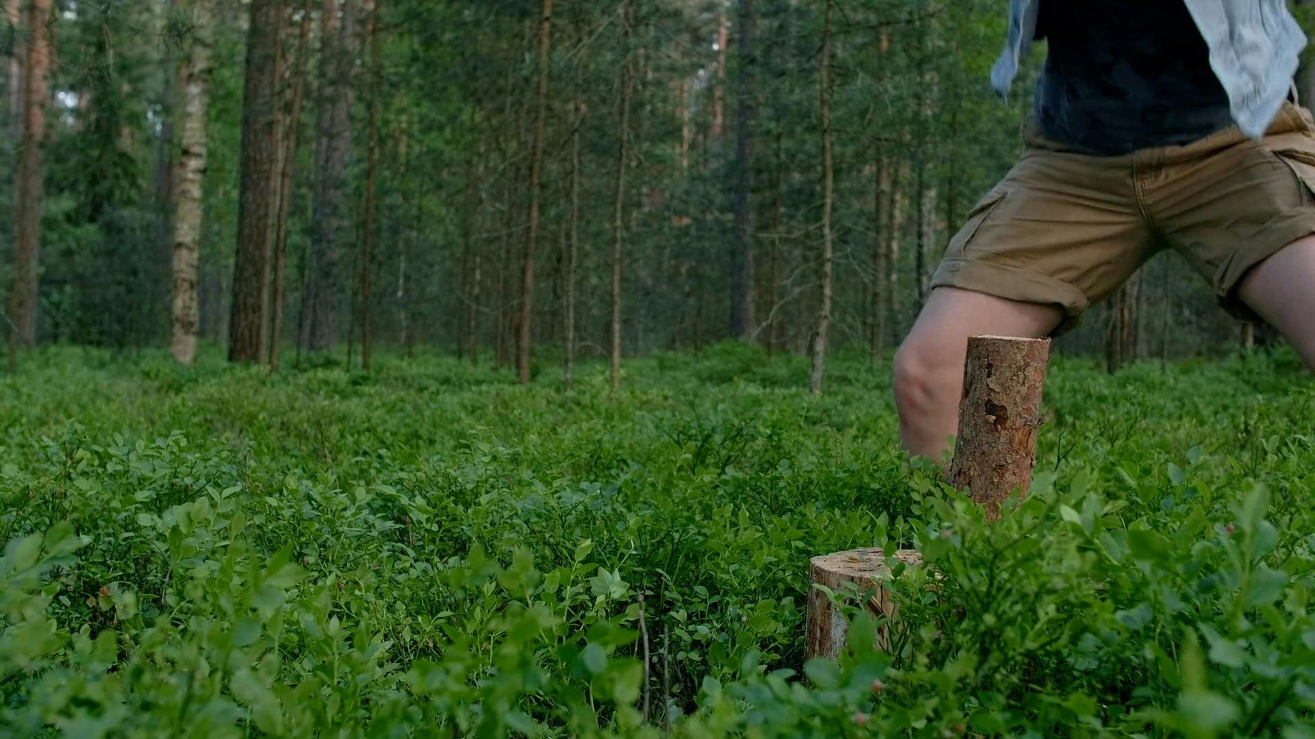 Cutting Trees Videos, Download The BEST Free 4k Stock Video Footage ...