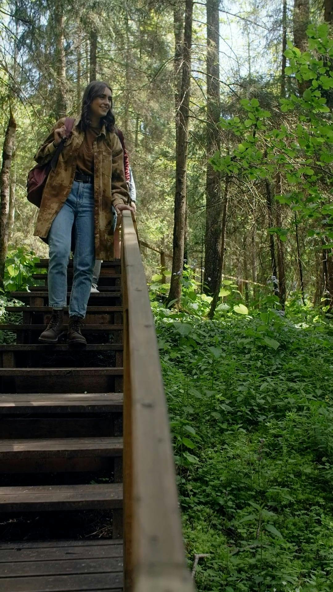 Group of hikers walking down steps on trail in forest Free Stock Video ...