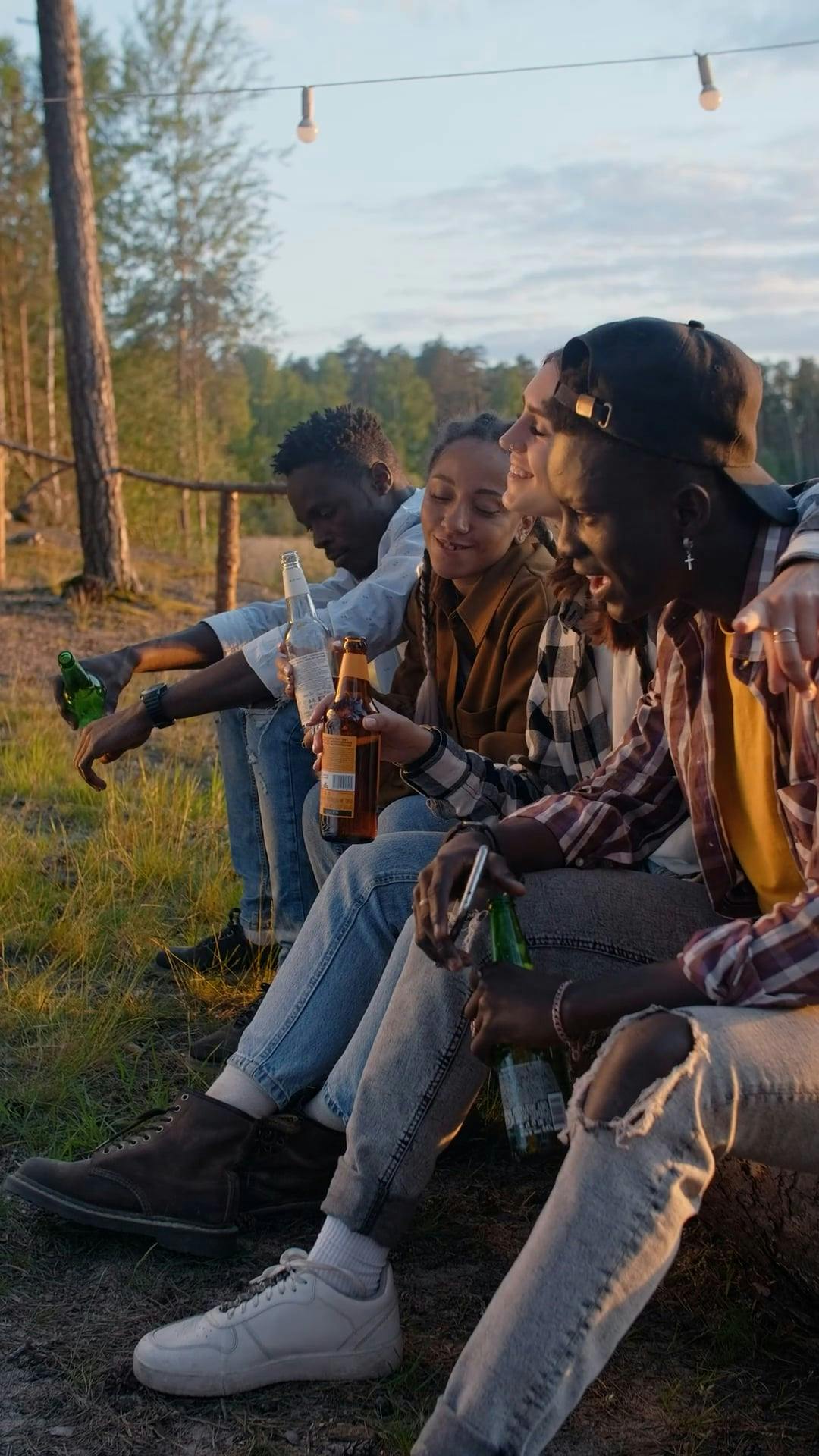 African Forest Sunset Videos, Download The BEST Free 4k Stock Video ...