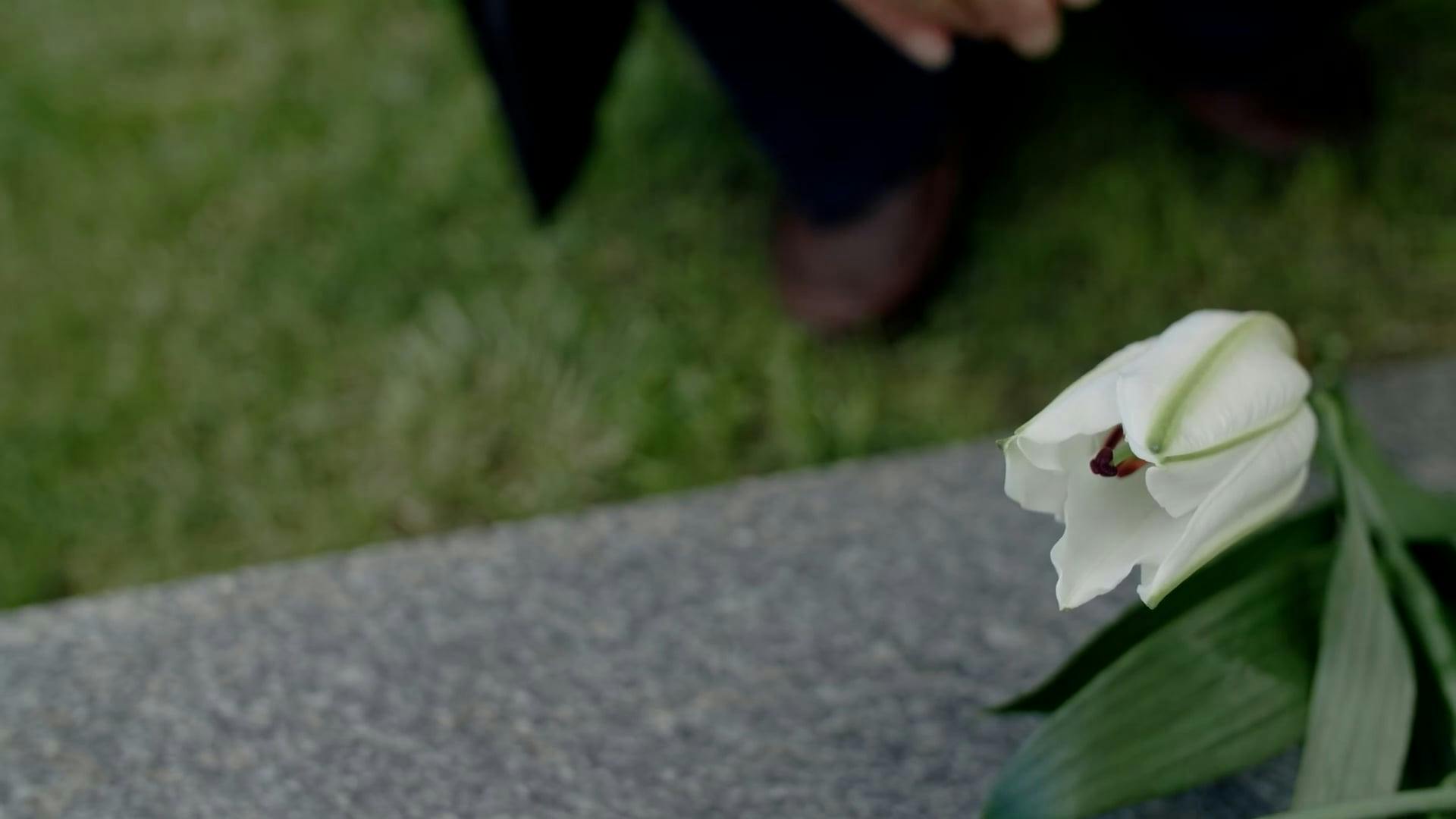 An Elderly Person Touching a Tombstone Free Stock Video Footage ...