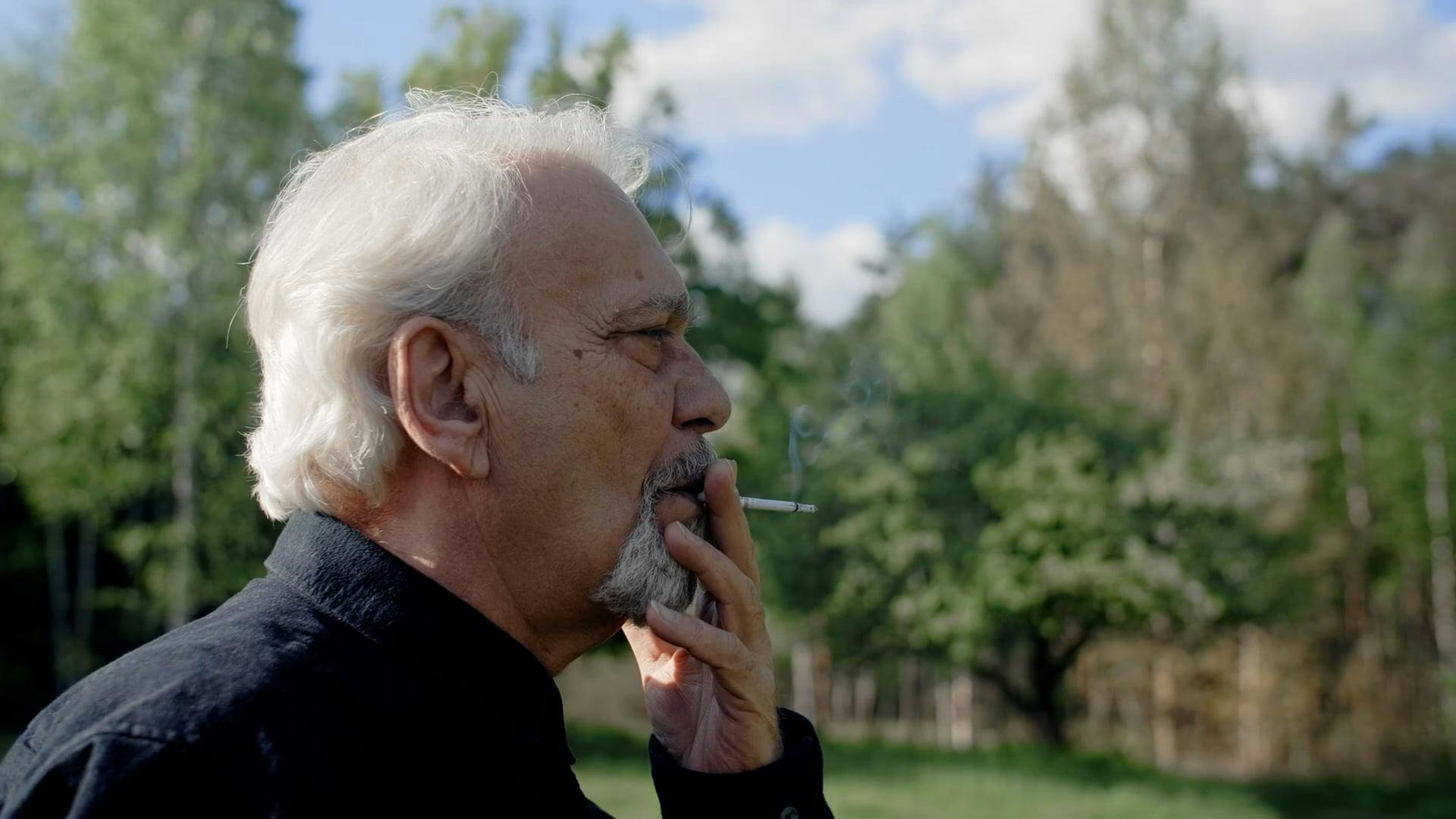 Ilmainen kuvapankkivideo aiheesta epäselvä tausta, hautausmaa, henkilö