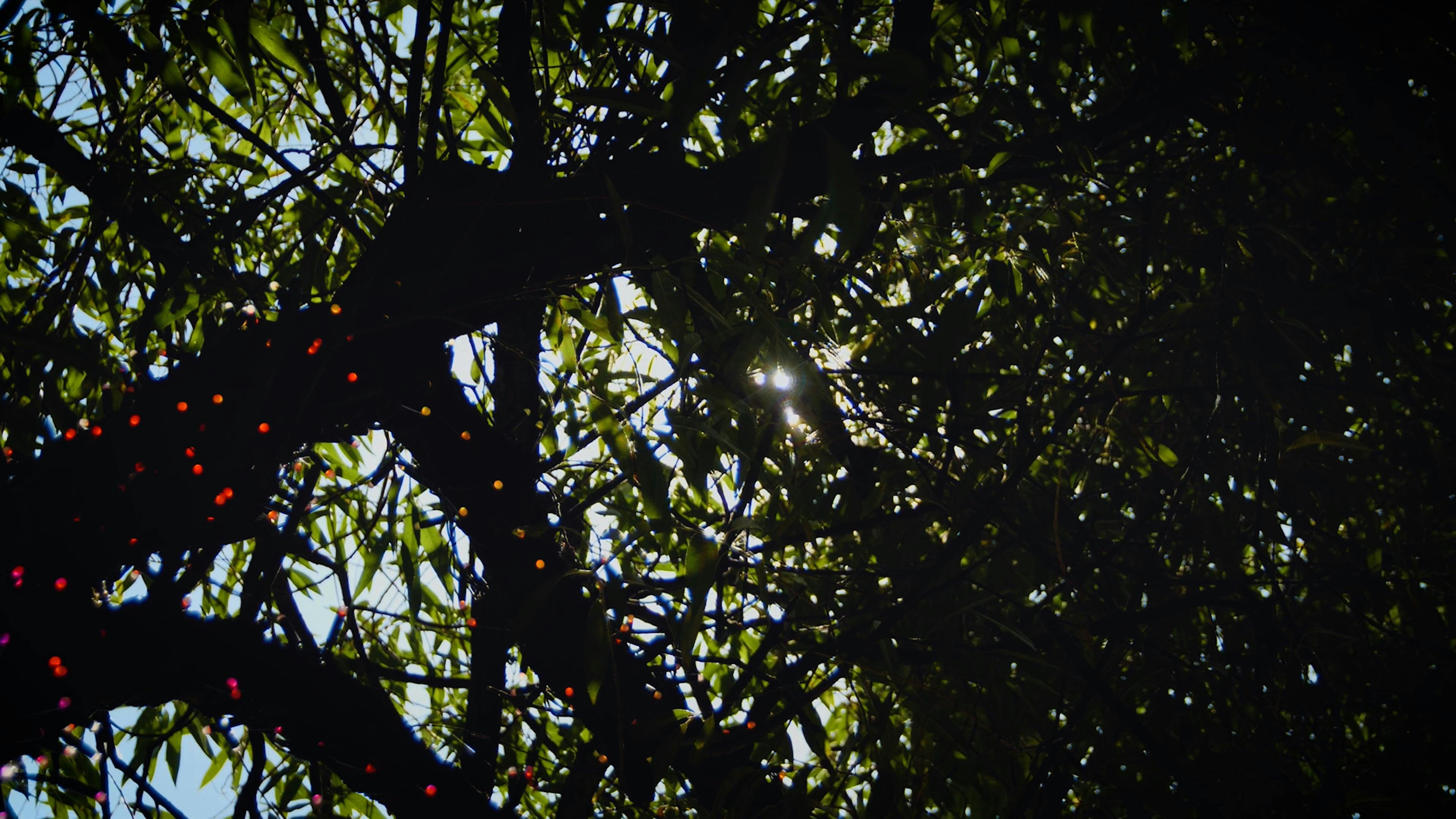 Wes Baker – Fotografia