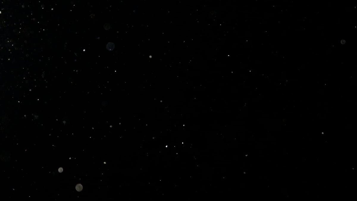 Particles Videos, Download The BEST Free 4k Stock Video Footage ...