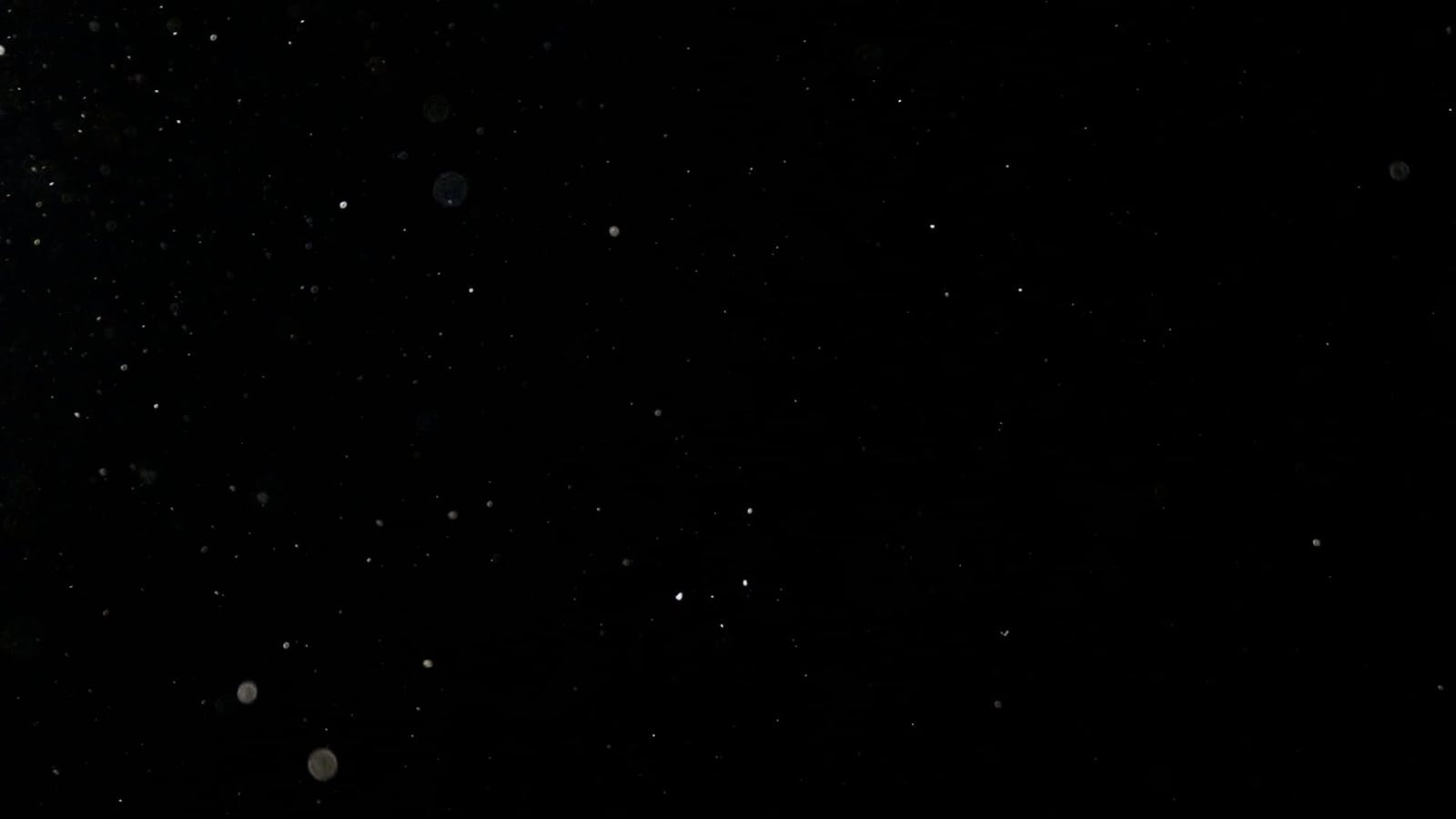 Particles Videos, Download The BEST Free 4k Stock Video Footage ...