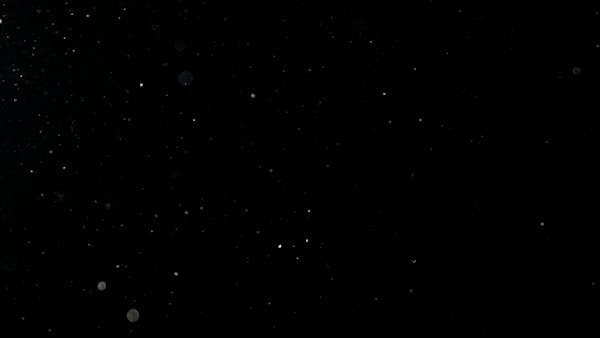 Vfx Background Videos, Download The BEST Free 4k Stock Video Footage ...