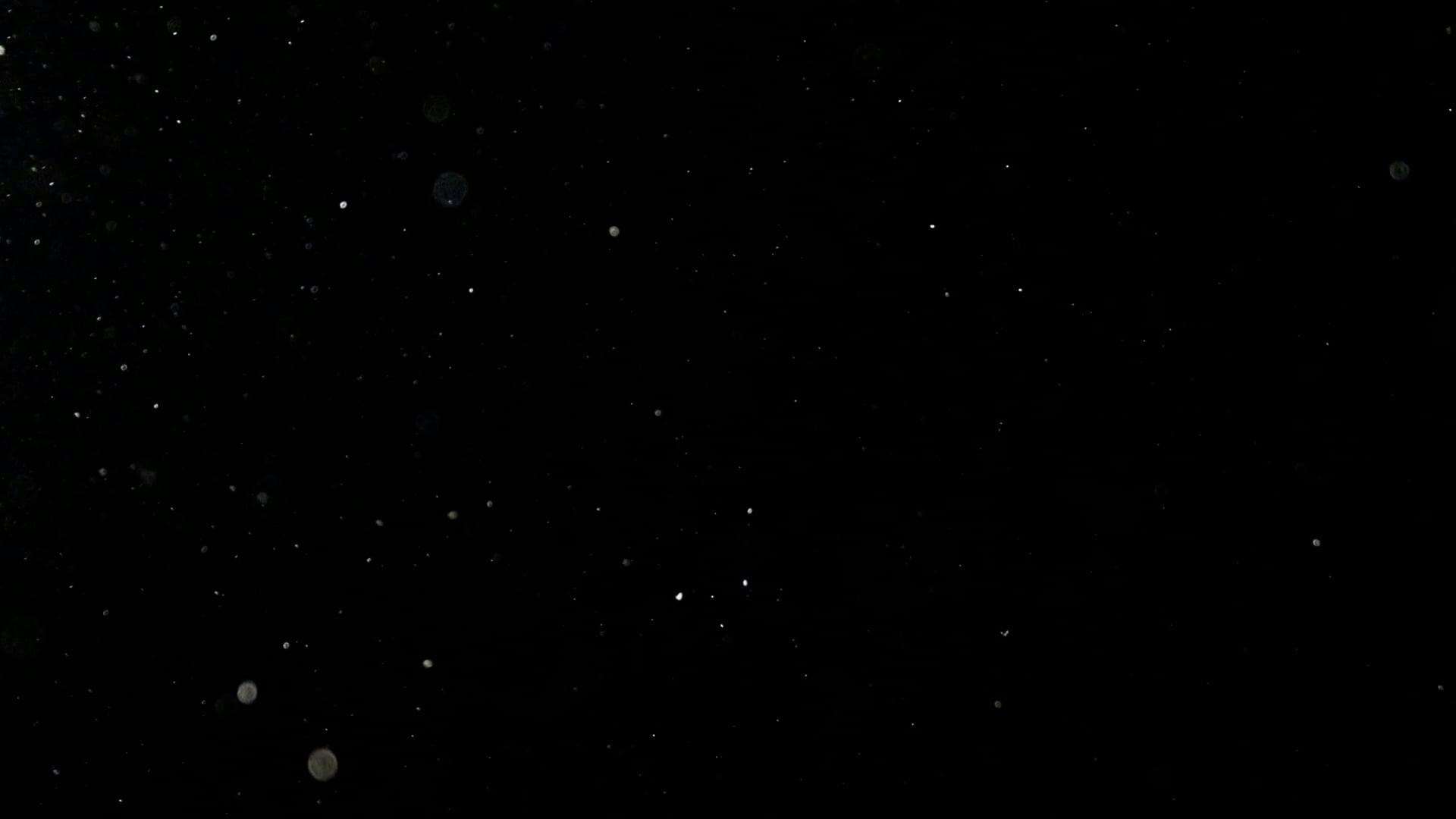 Tiny White Dust Particles on Black Background · Free Stock Video