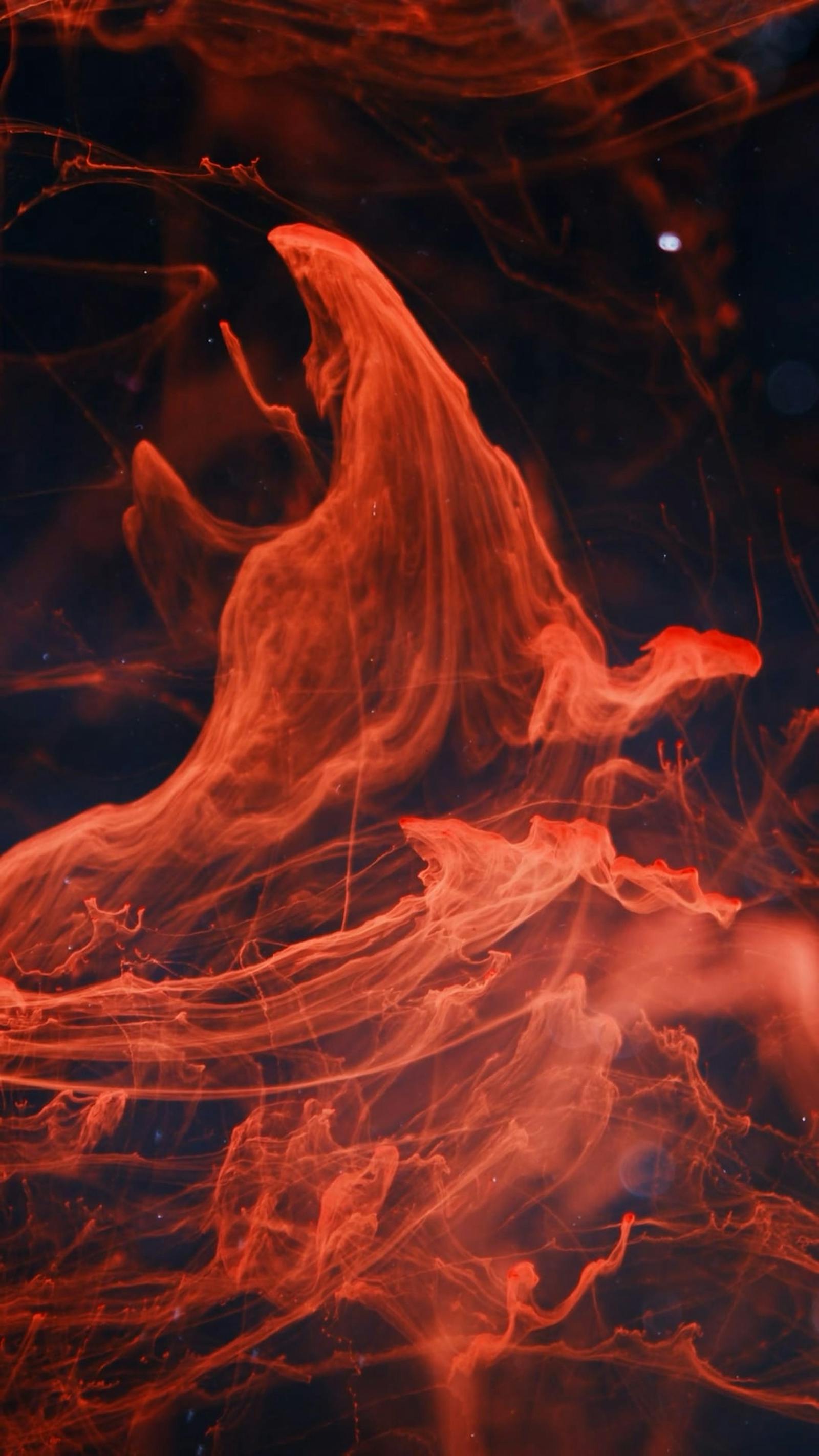 Color Splash Videos, Download The BEST Free 4k Stock Video Footage ...