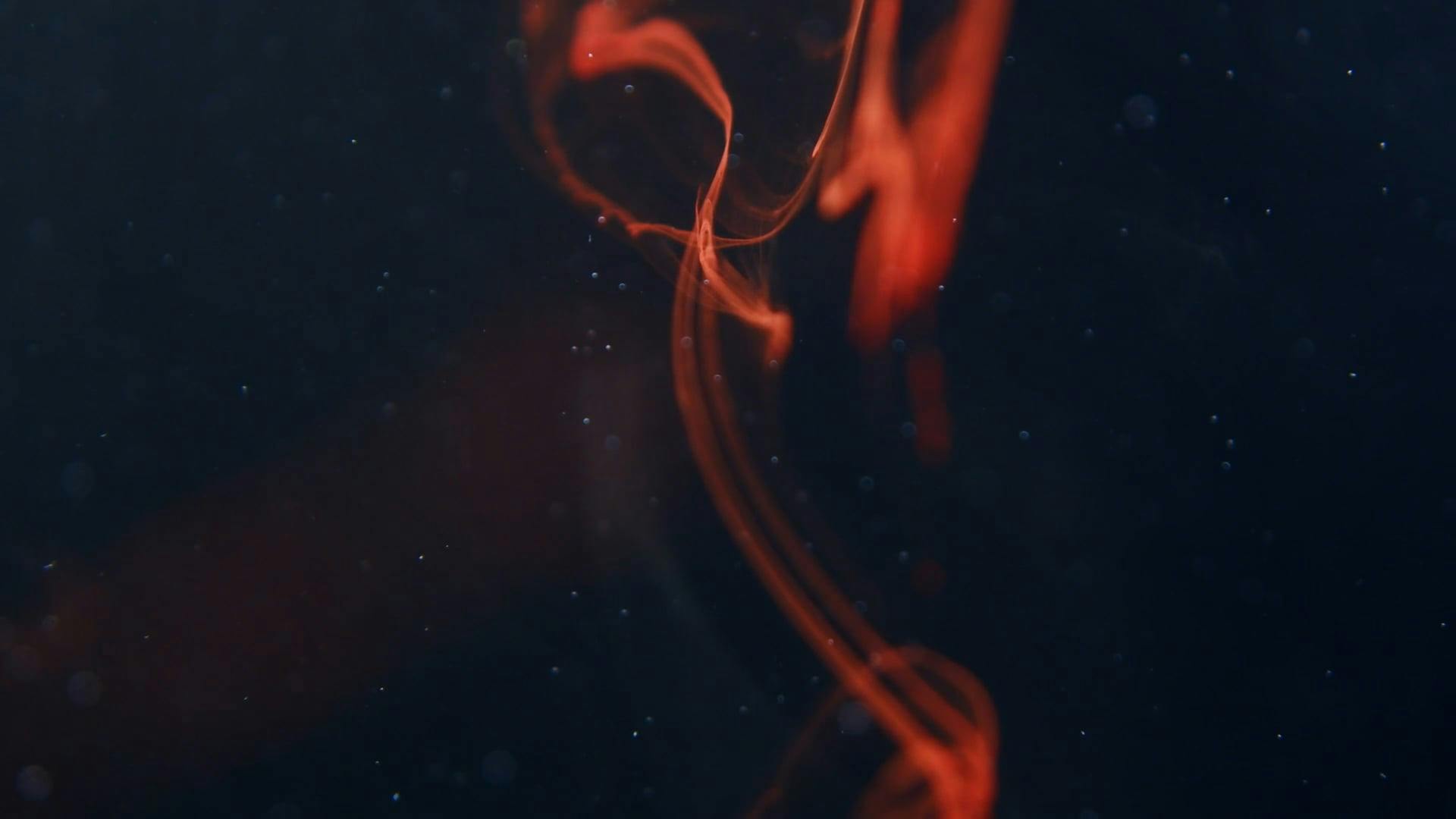 High-Speed Photography of Colorful Ink Diffusion in Water Free Stock ...