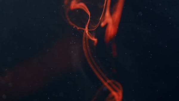 Vfx Background Videos, Download The BEST Free 4k Stock Video Footage ...