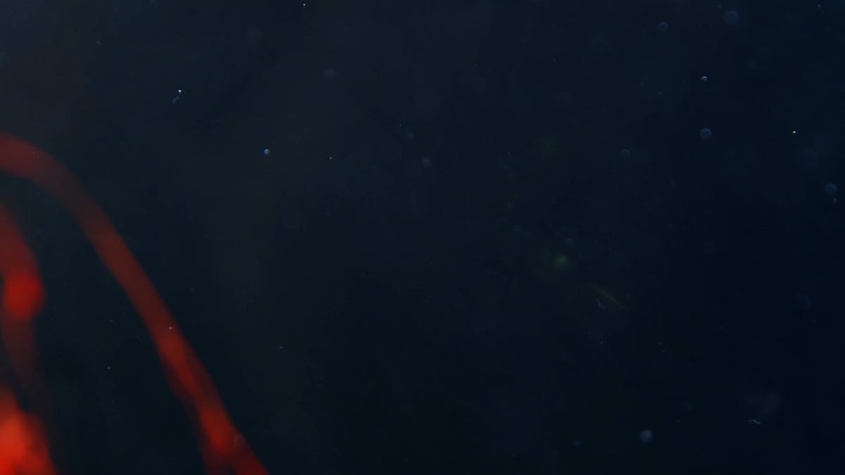 Vfx Background Videos, Download The BEST Free 4k Stock Video Footage ...