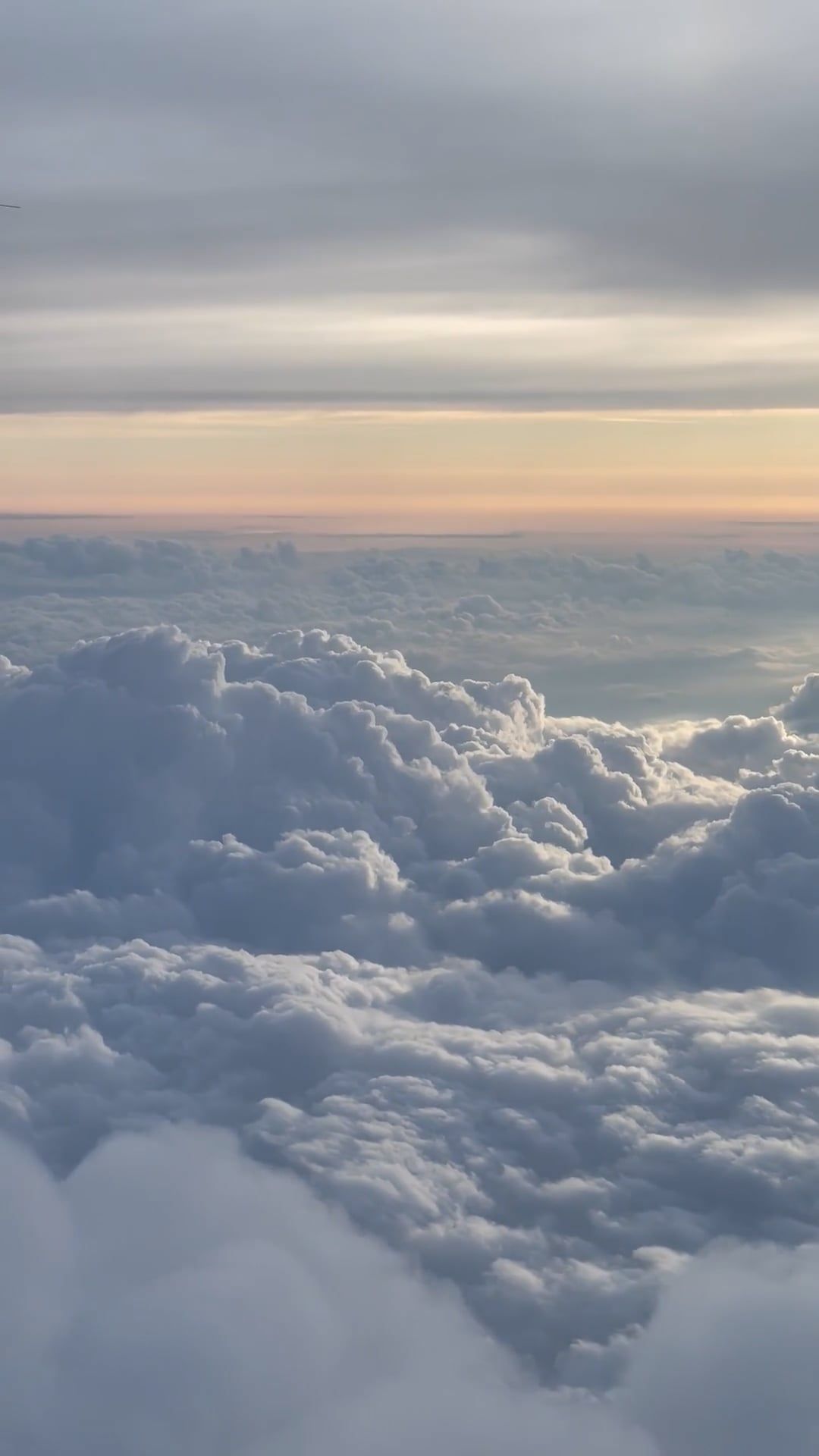 Plane Flying Videos, Download The BEST Free 4k Stock Video Footage ...