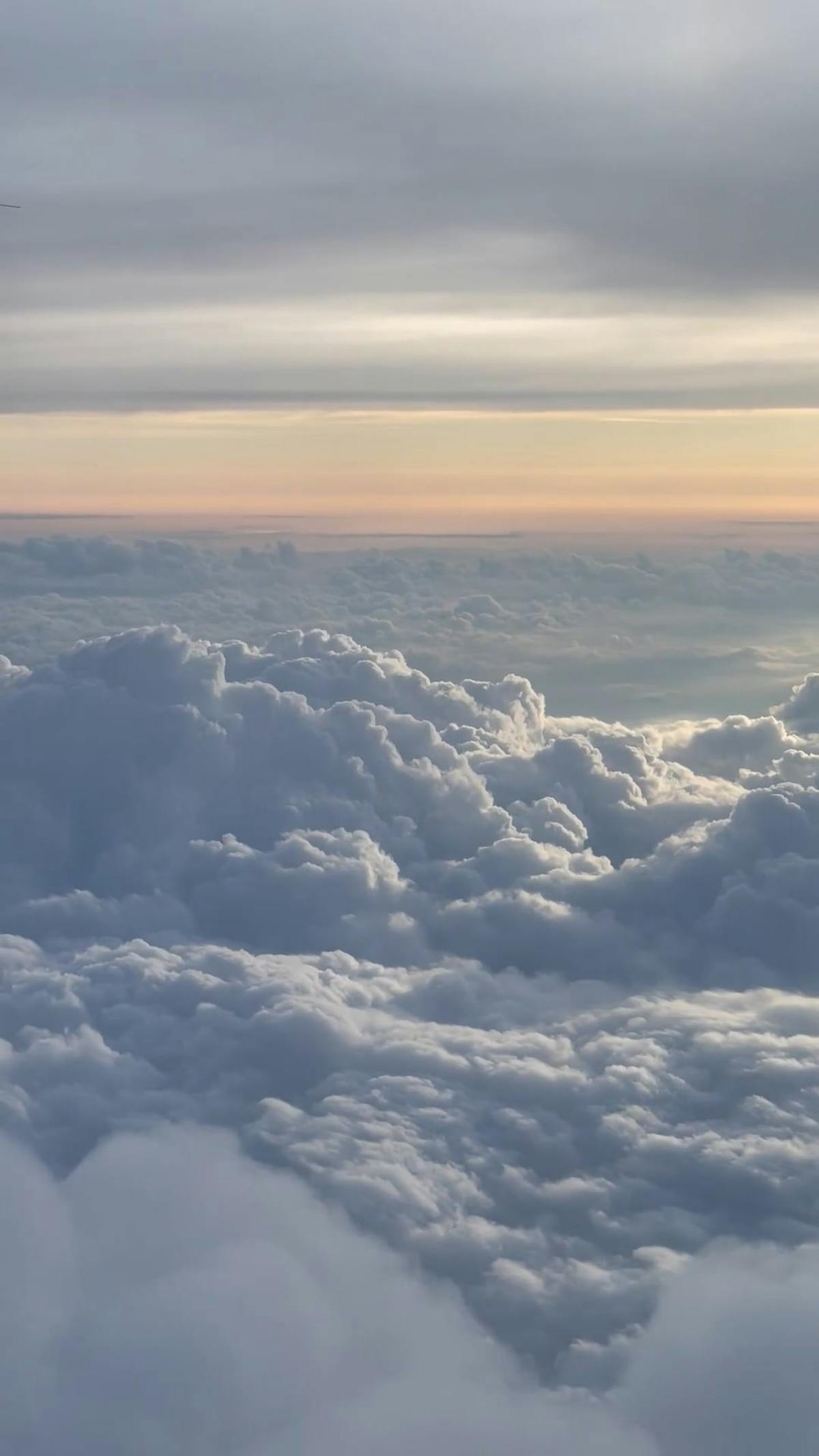 Plane Flying Videos, Download The BEST Free 4k Stock Video Footage ...