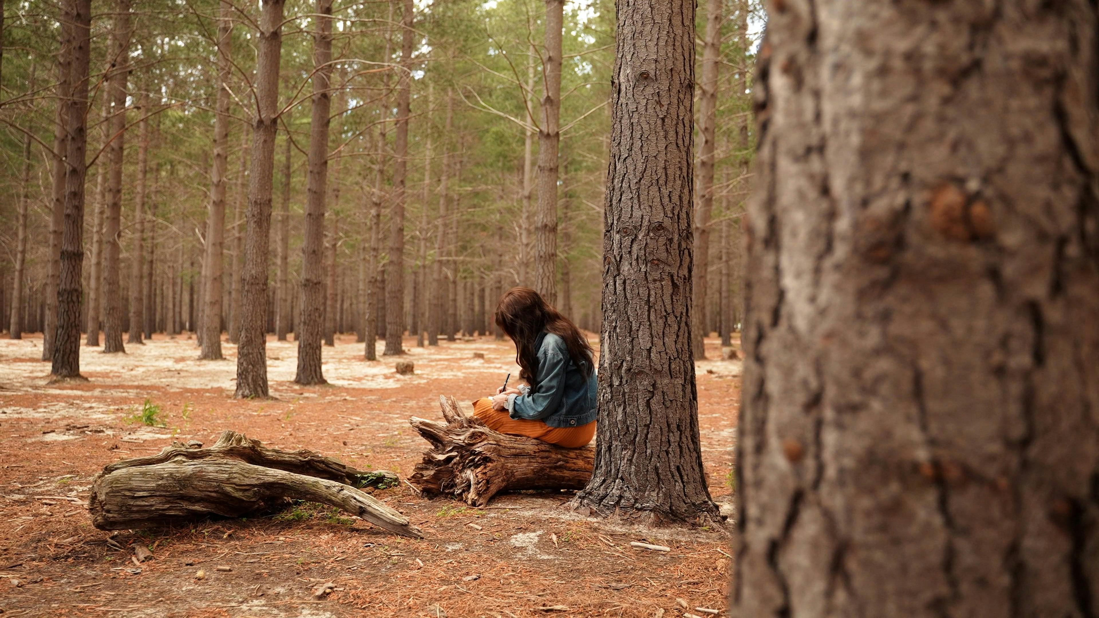 Dell Log Videos, Download The BEST Free 4k Stock Video Footage & Dell ...