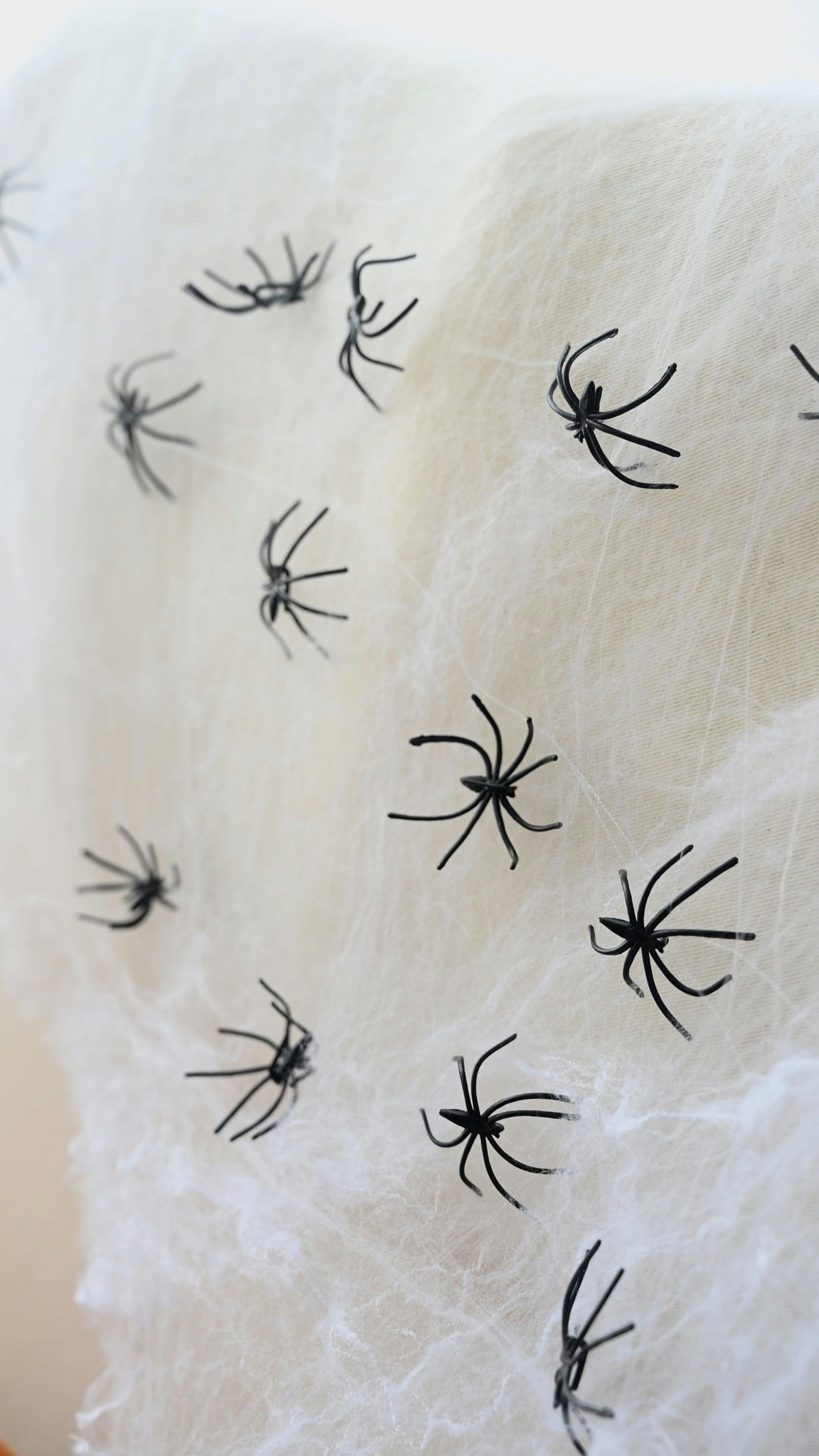 Artificial spiders on white tissue Free Stock Video Footage, Royalty ...