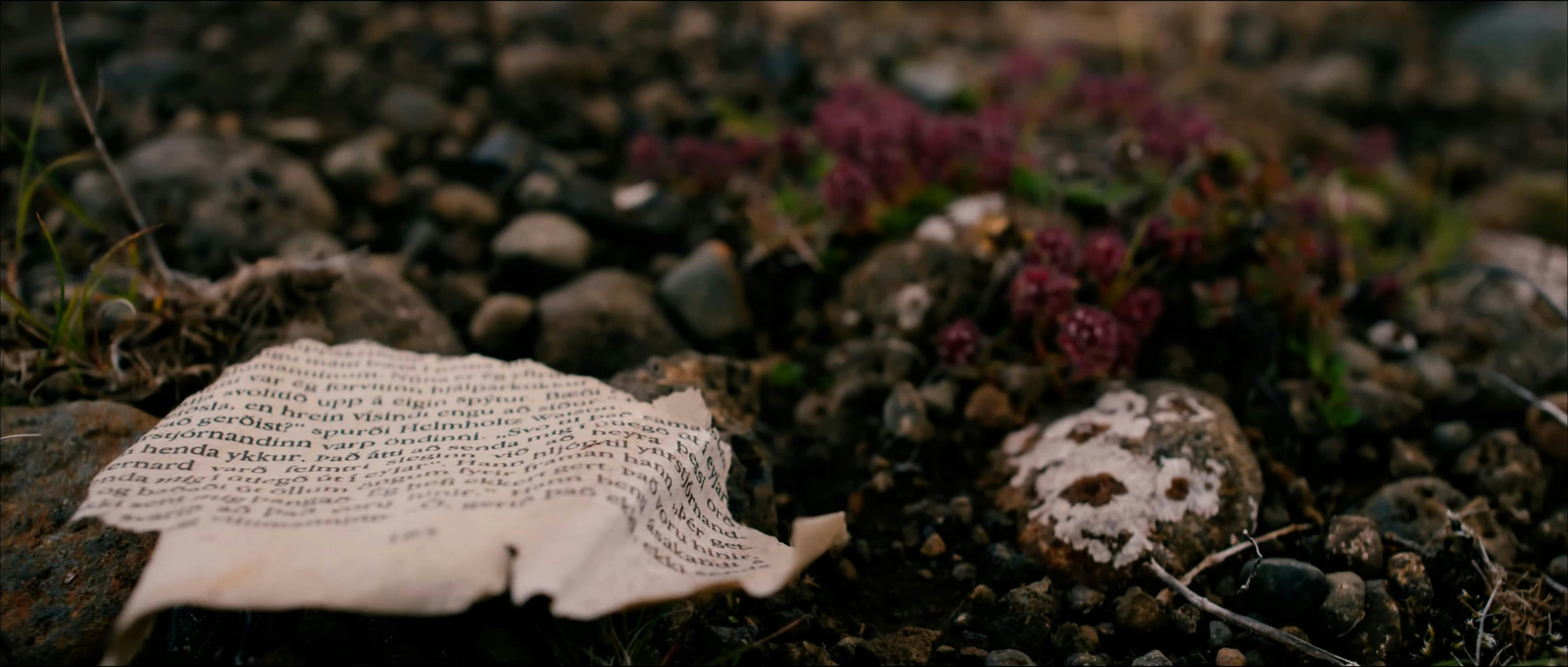 Close-up Footage of a Piece of Ripped Paper on a Rocky Ground Free ...