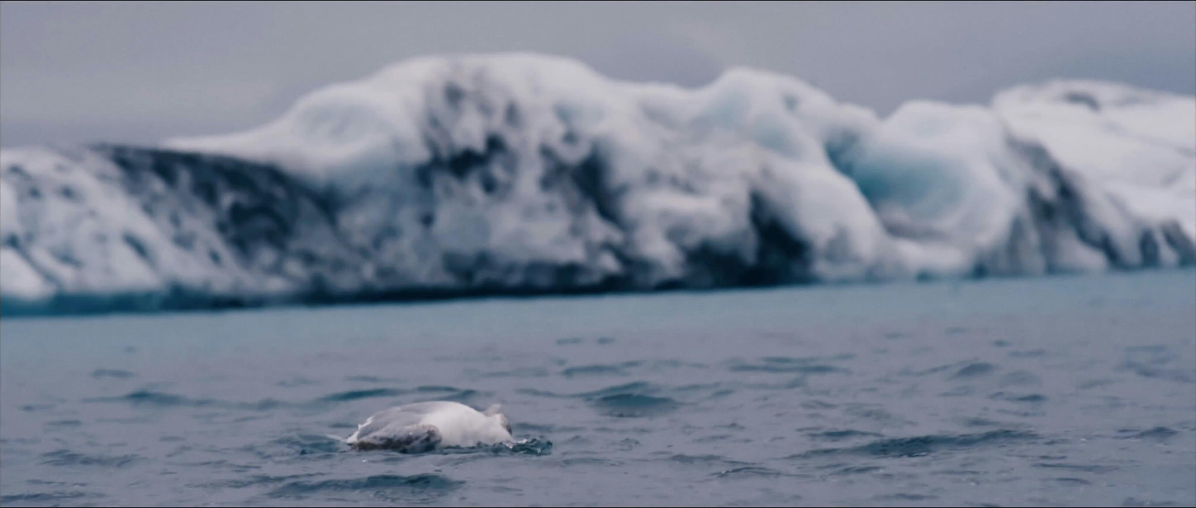 Cold Water Videos, Download The BEST Free 4k Stock Video Footage & Cold ...