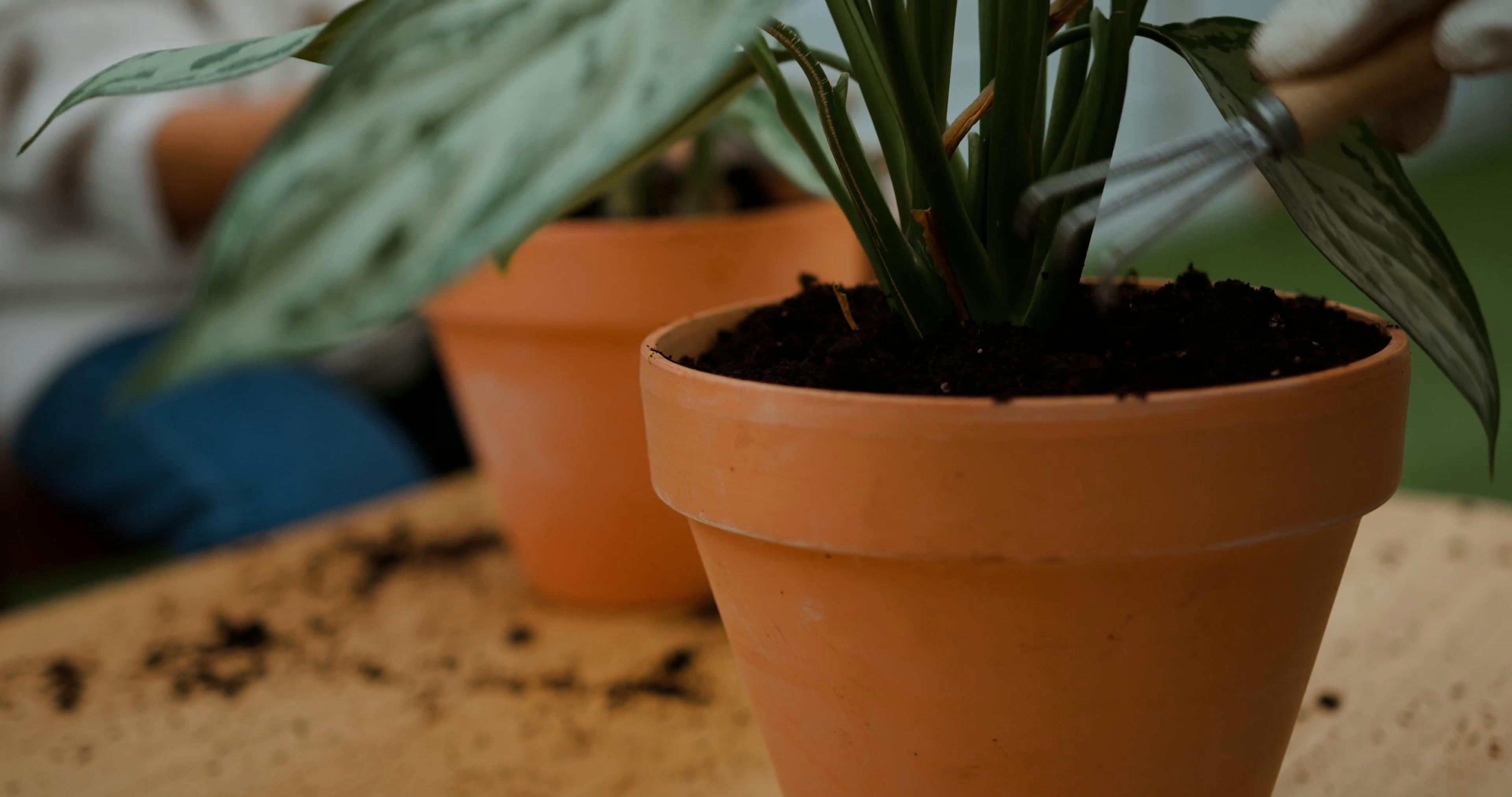 Soil Planting Videos, Download The BEST Free 4k Stock Video Footage ...