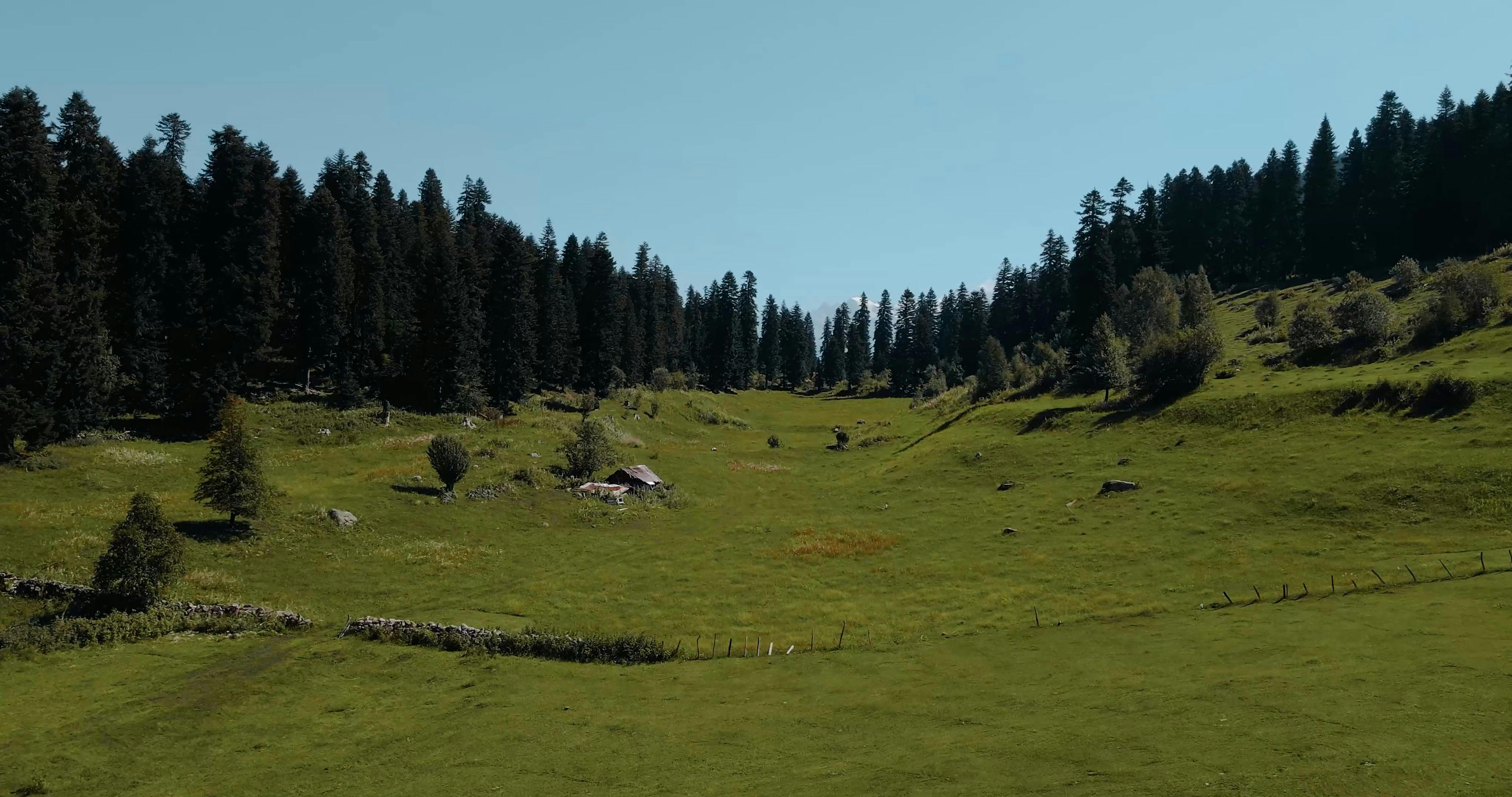 Vidéo gratuite de aéré, aérien, arbres, arrière pays, biome, calme ...